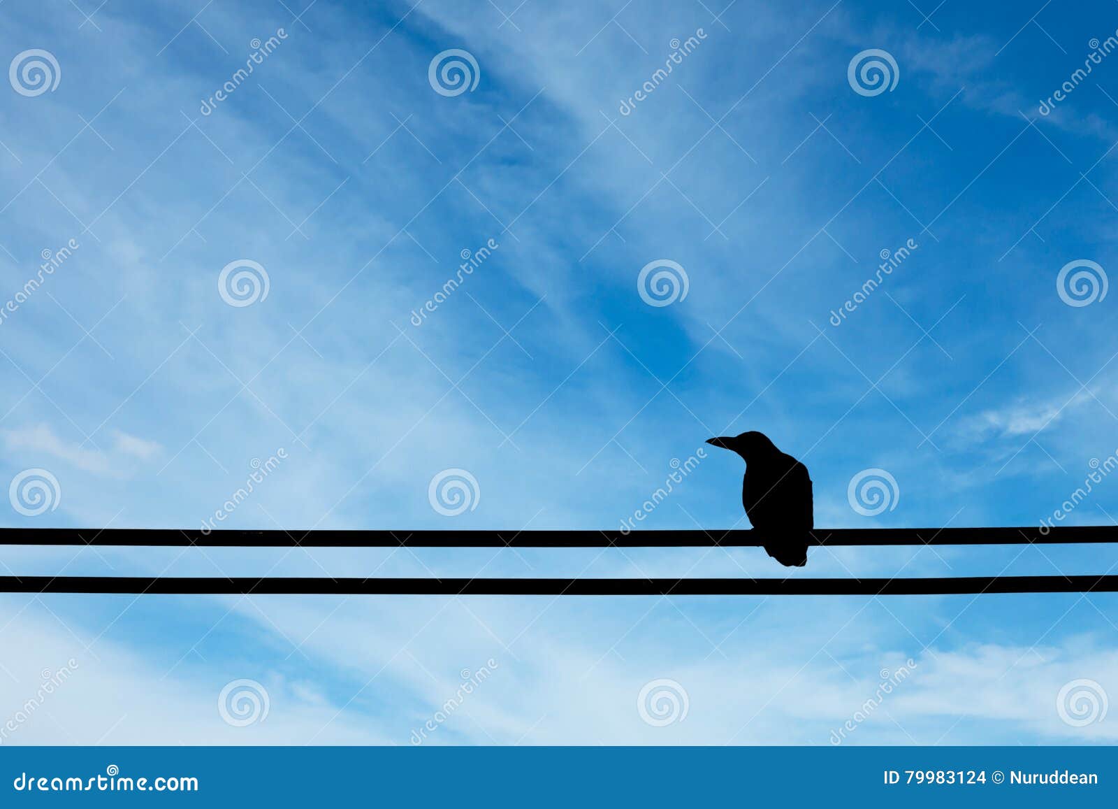 Crow on an Electric Wire Under Blue Sky Background Stock Photo - Image ...