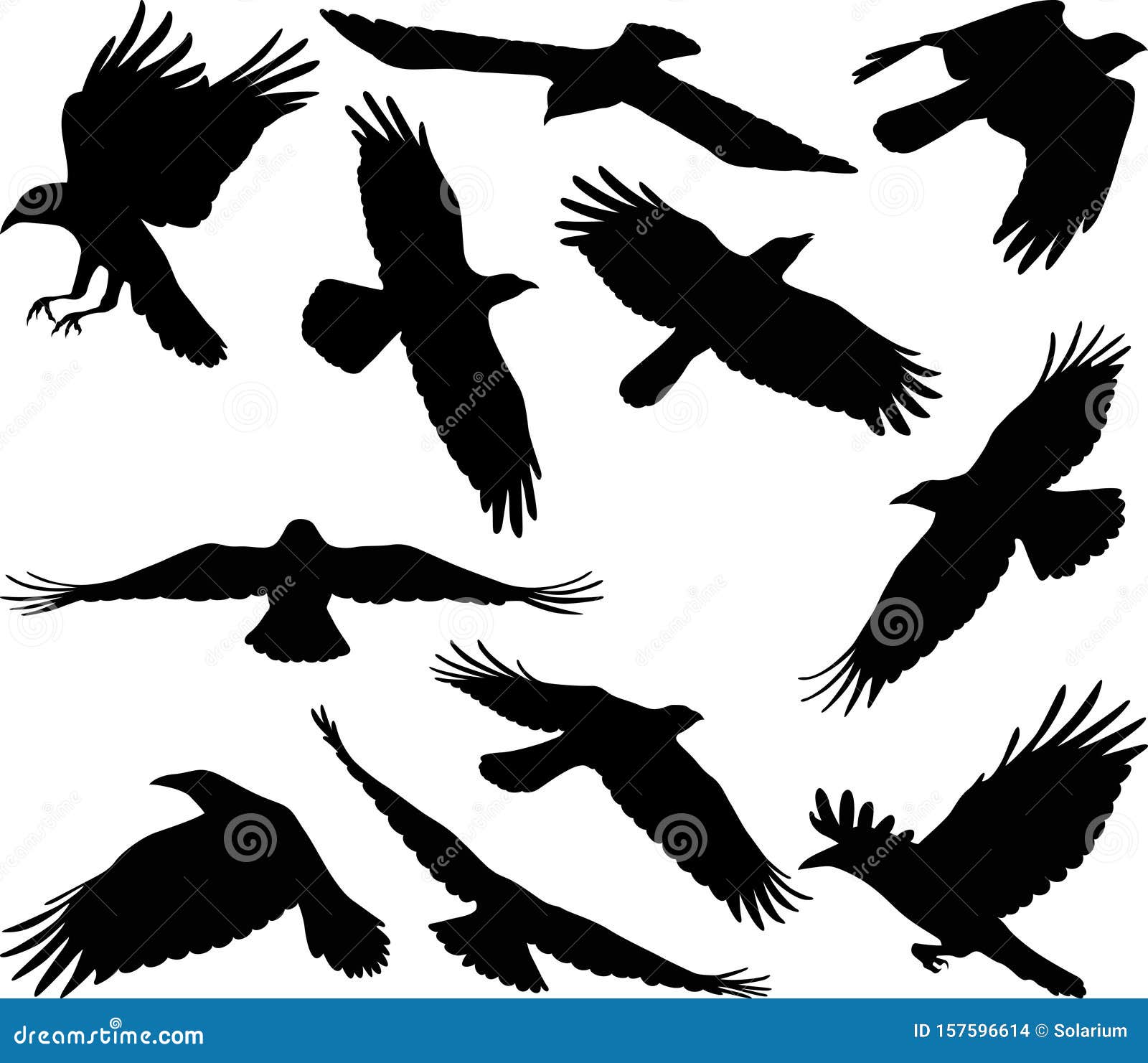 Crow stock vector. Illustration of corvids, hoodie, raven - 157596614