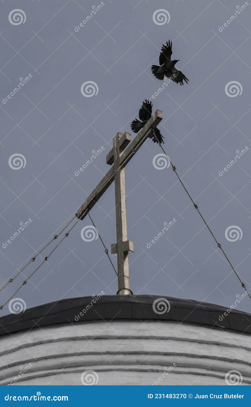 Crow flying over the cross stock photo. Image of symbols - 231483270
