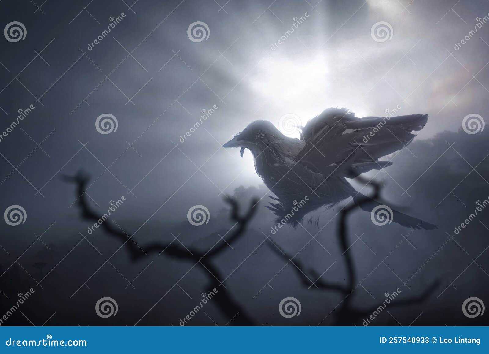 Crow Flying Over Tree. Vector Cartoon Landscape. | CartoonDealer.com ...