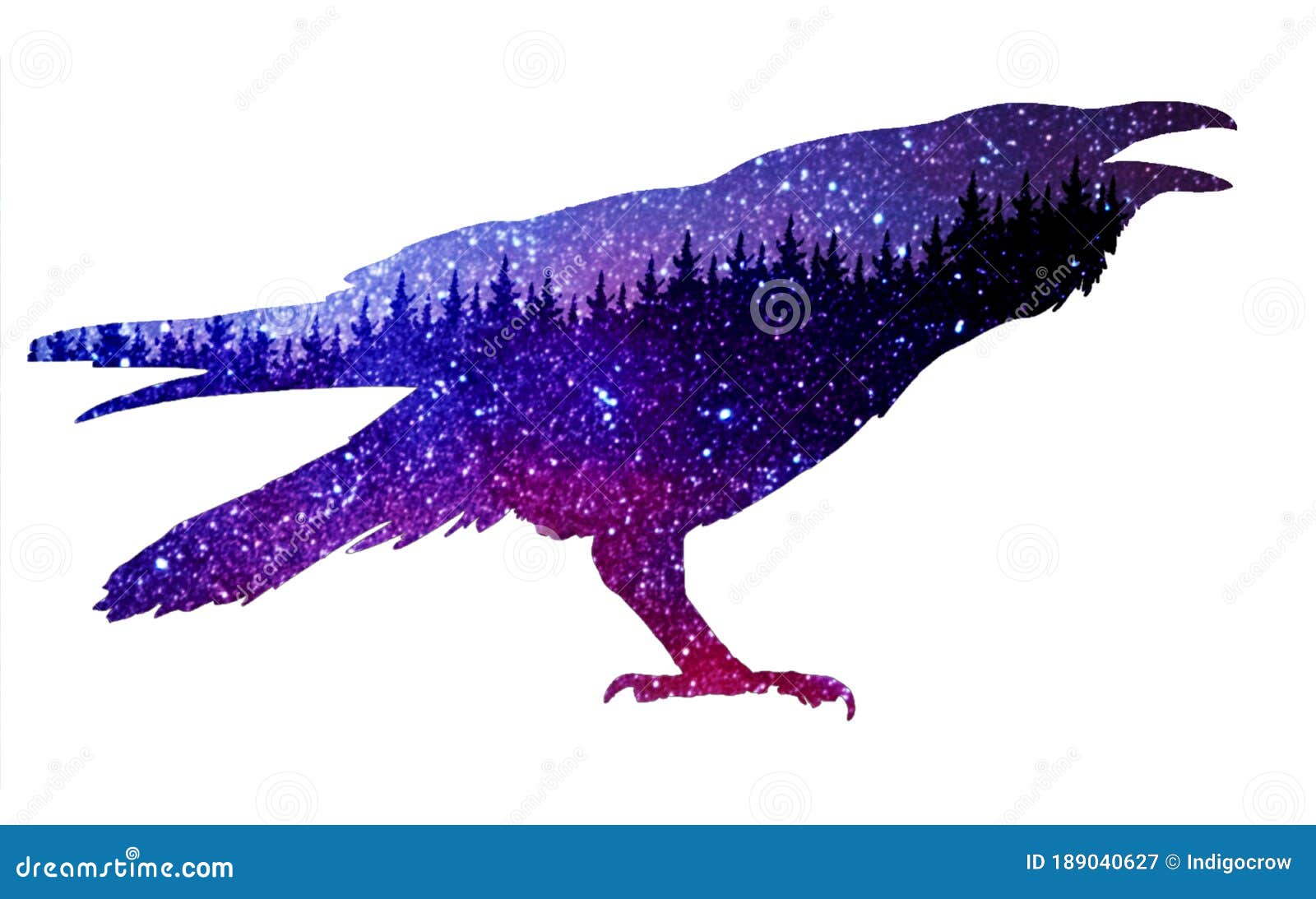 Forest Shadow Crow stock illustration. Illustration of birds - 189040627