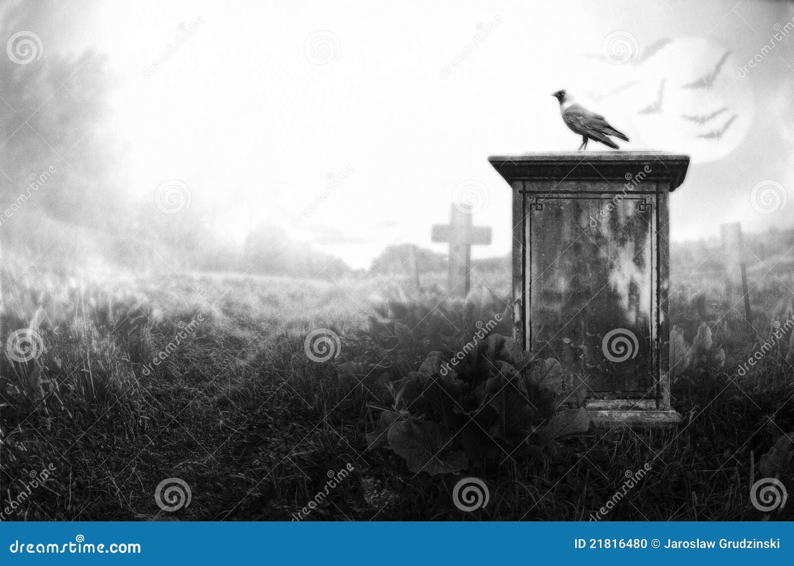 Crow on a gravestone stock photo. Image of fear, grunge - 21816480