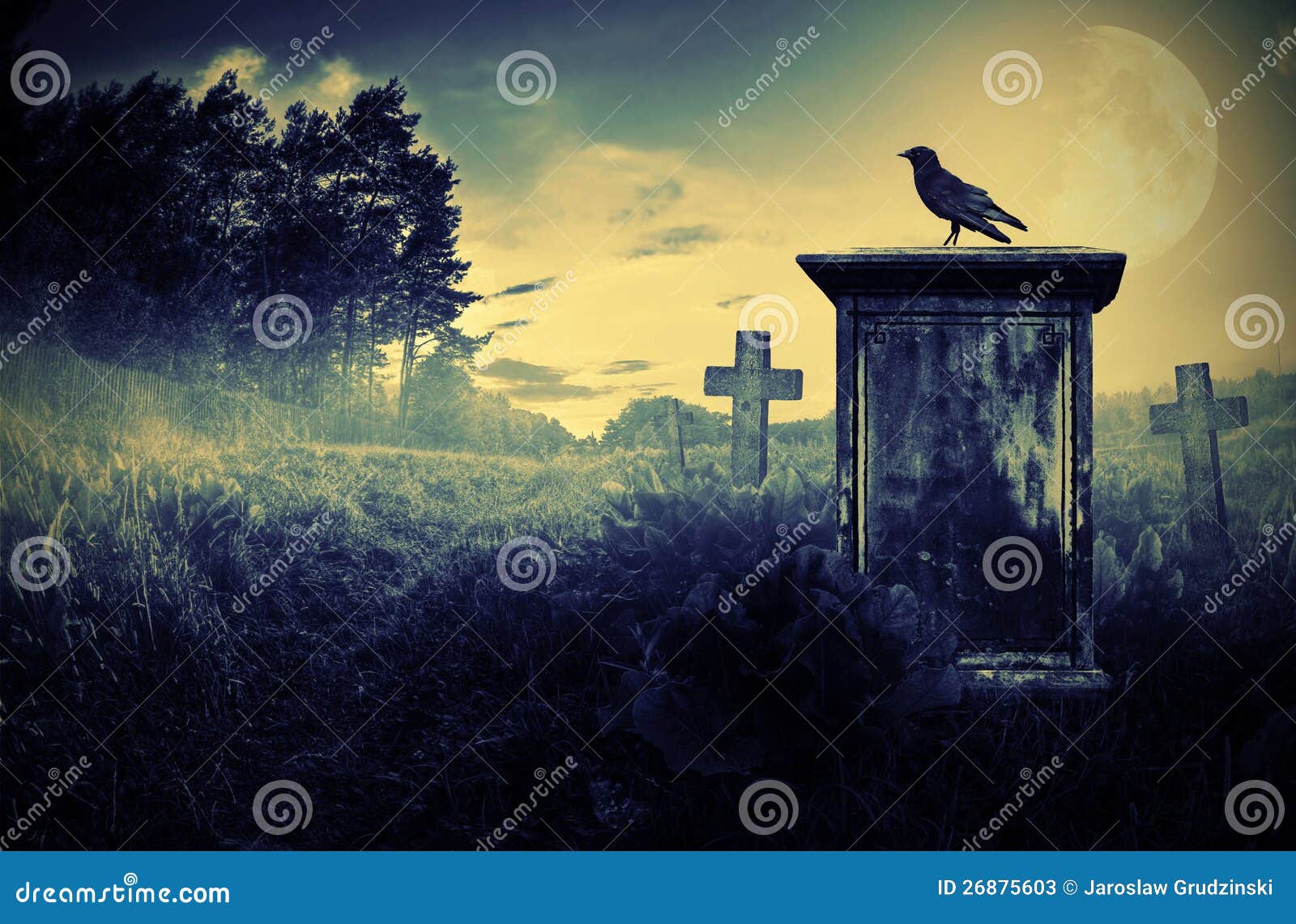 Crow on a gravestone stock image. Image of background - 26875603