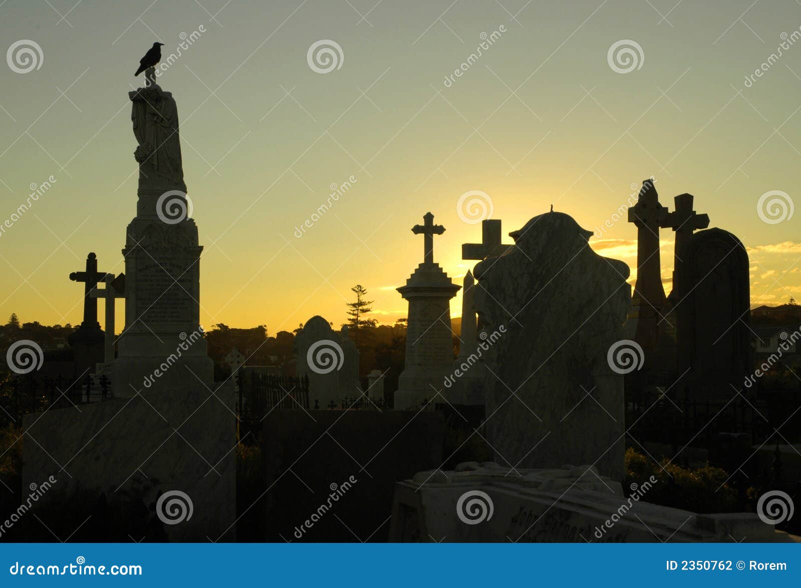 Crow at graveyard stock photo. Image of memorial, mourning - 2350762