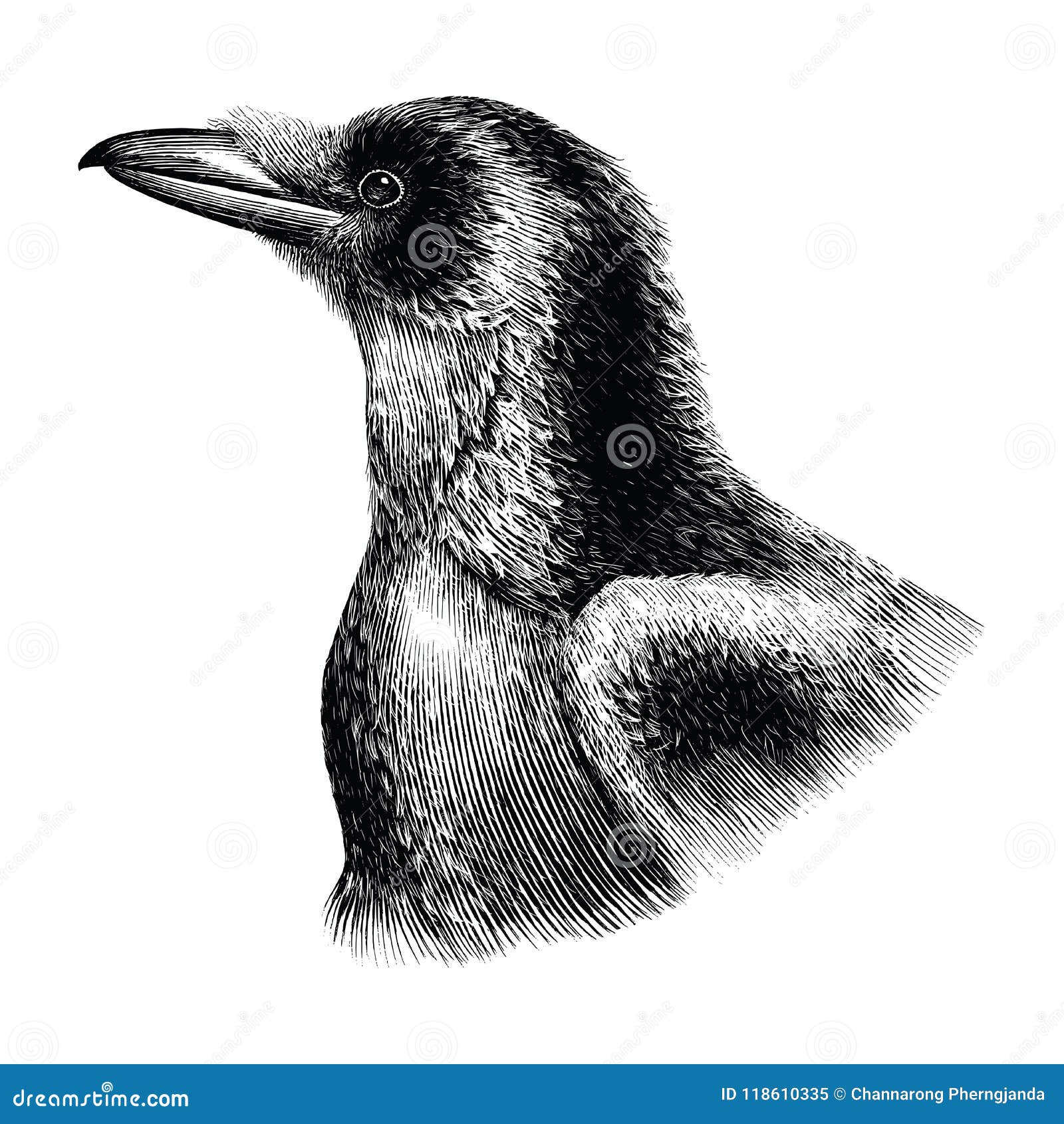 Crow Hand Drawing Vintage Style Stock Vector - Illustration of artistic ...