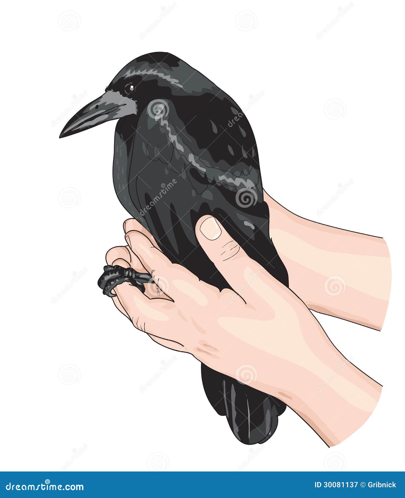 The Crow and the hands. stock vector. Illustration of white - 30081137