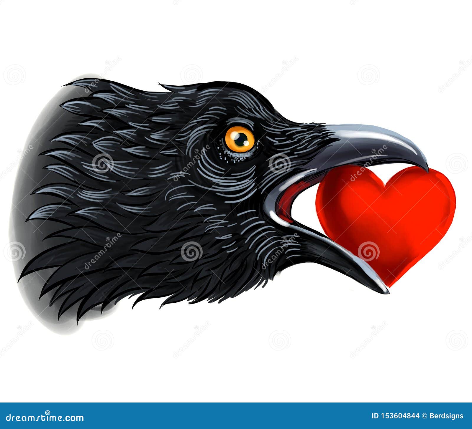 Crow and heart stock illustration. Illustration of drawing - 153604844