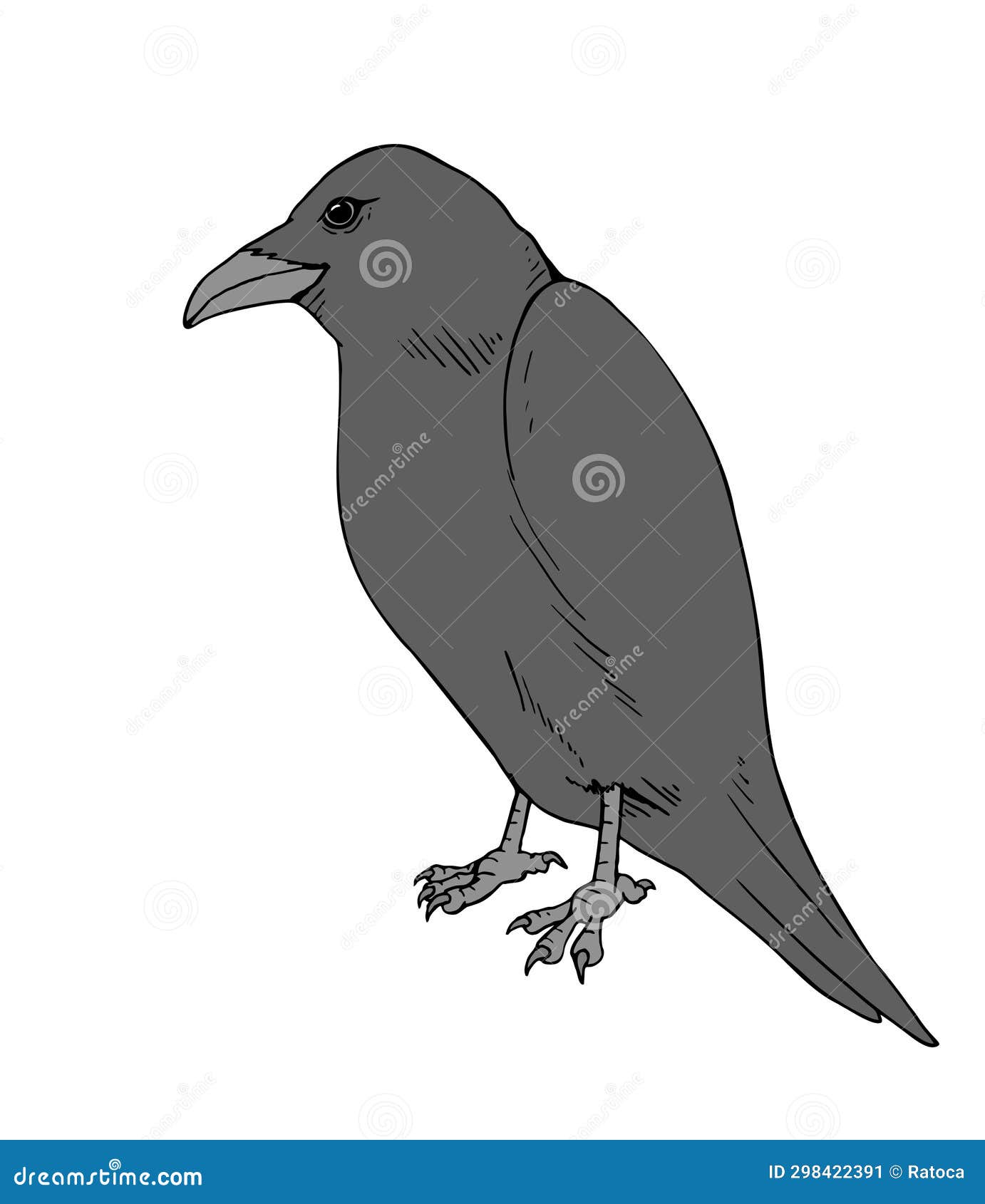 Crow illustration design stock vector. Illustration of cartoon - 298422391