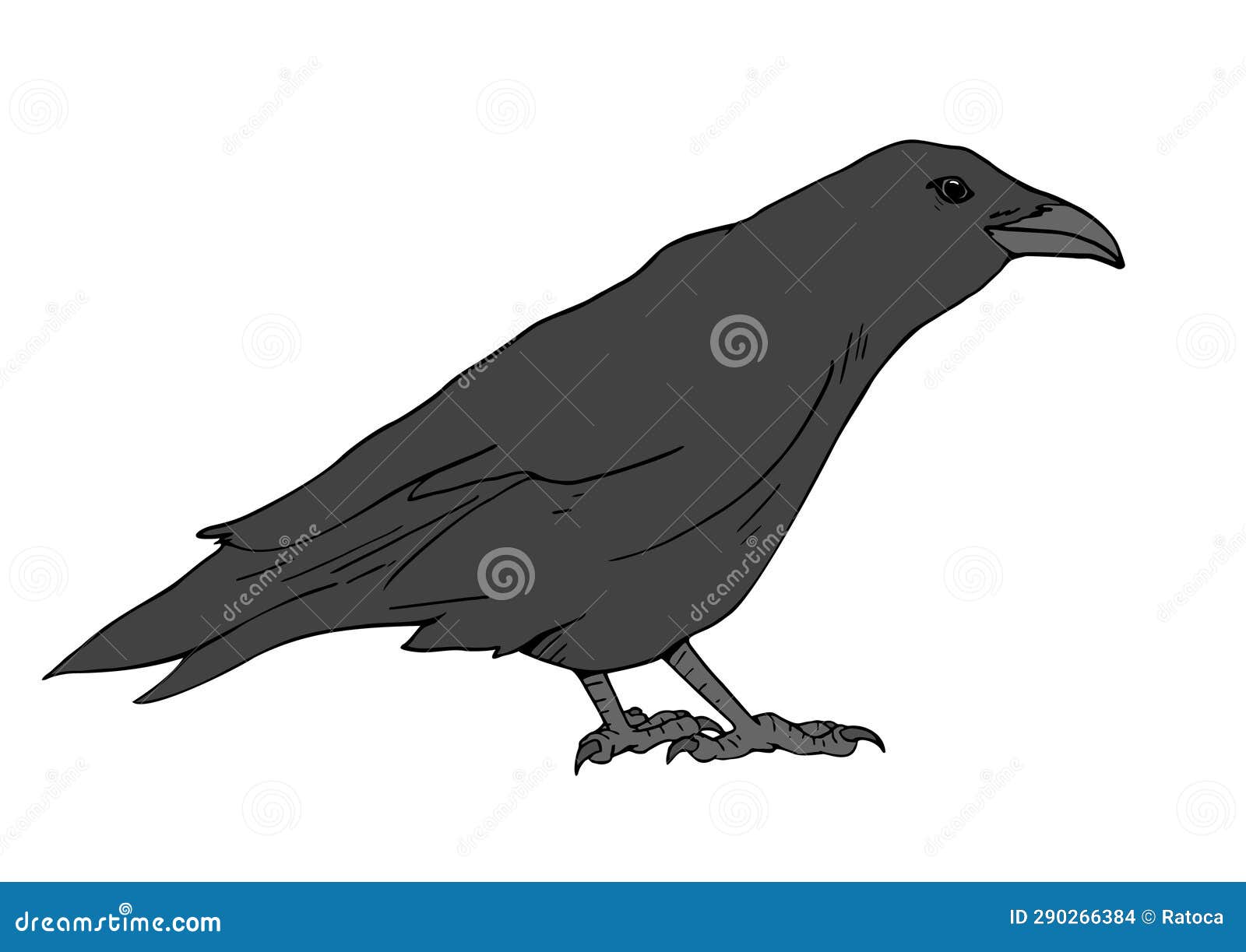 Crow illustration design stock vector. Illustration of raven - 290266384