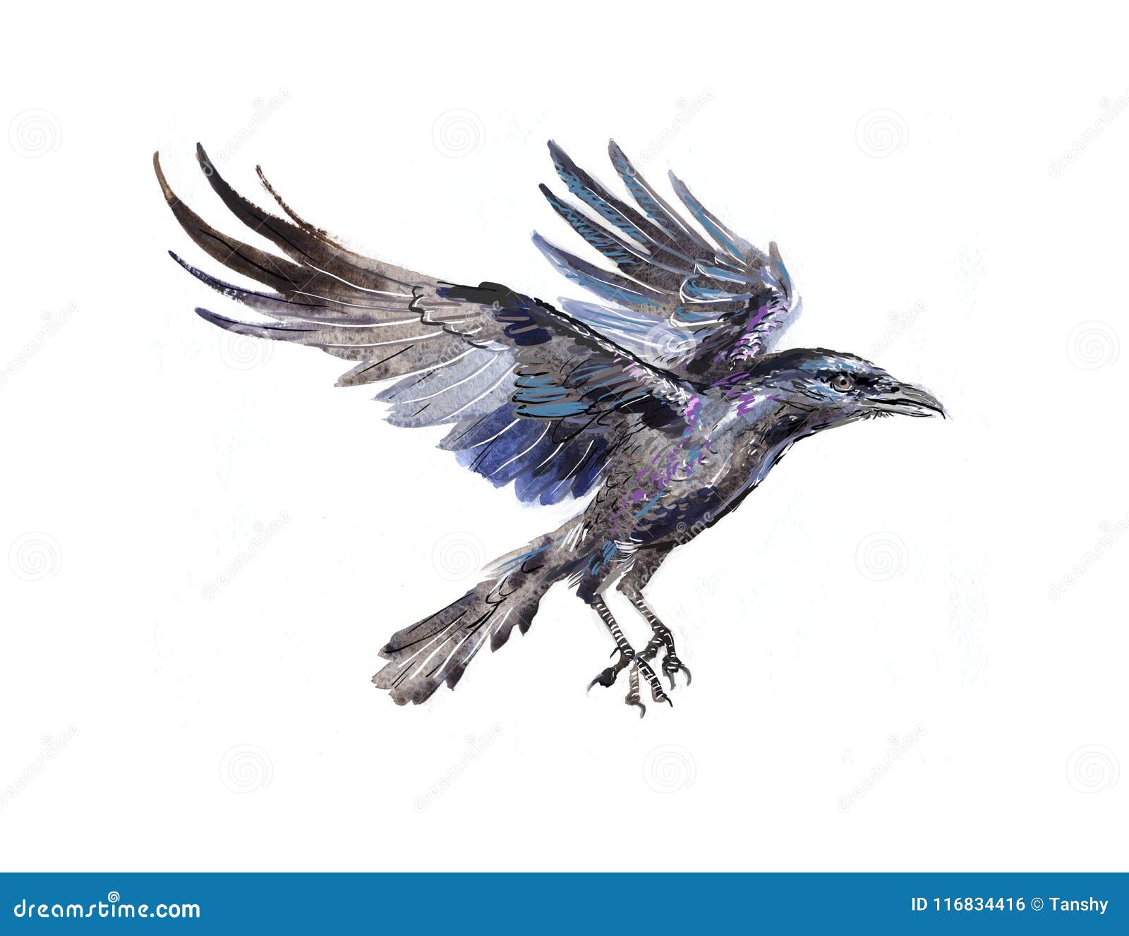Crow Illustration In The Style Of Ephraim Moses Lilien Stock Image ...