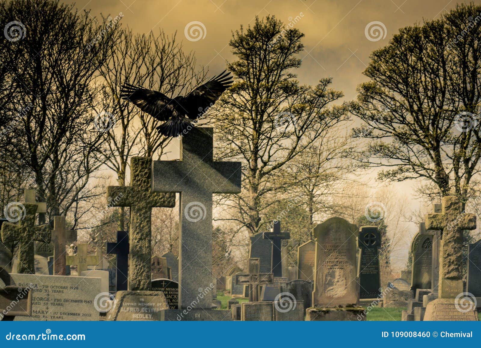 Crow in a Cemetery editorial image. Image of dreariness - 109008460