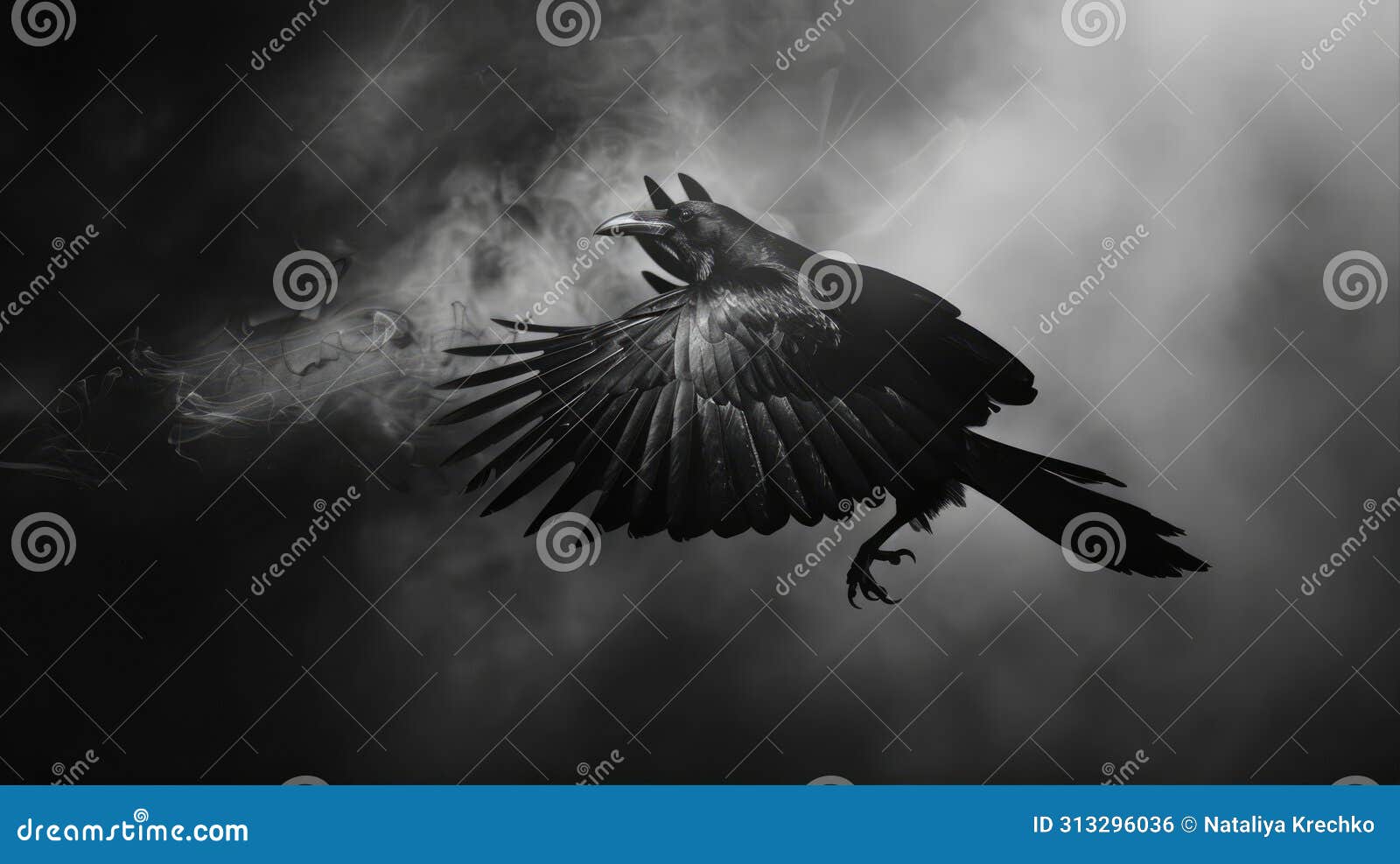 Crow and Magic Black Atmosphere Stock Photo - Image of bird, misty ...