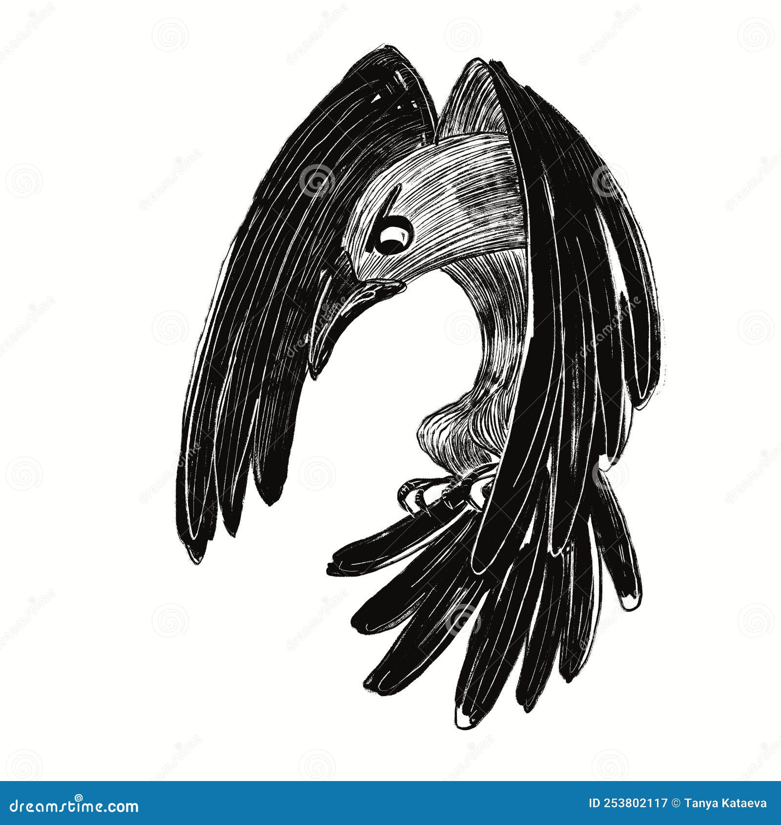 Furious crow stock illustration. Illustration of monochrome - 253802117