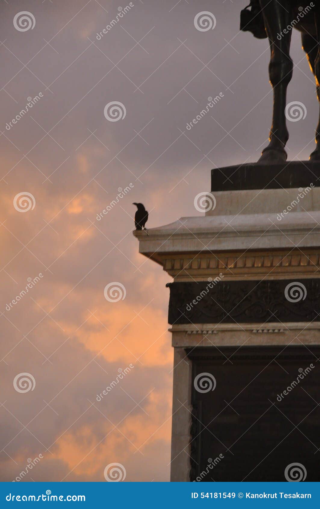 Crow on monument base stock image. Image of base, bird - 54181549