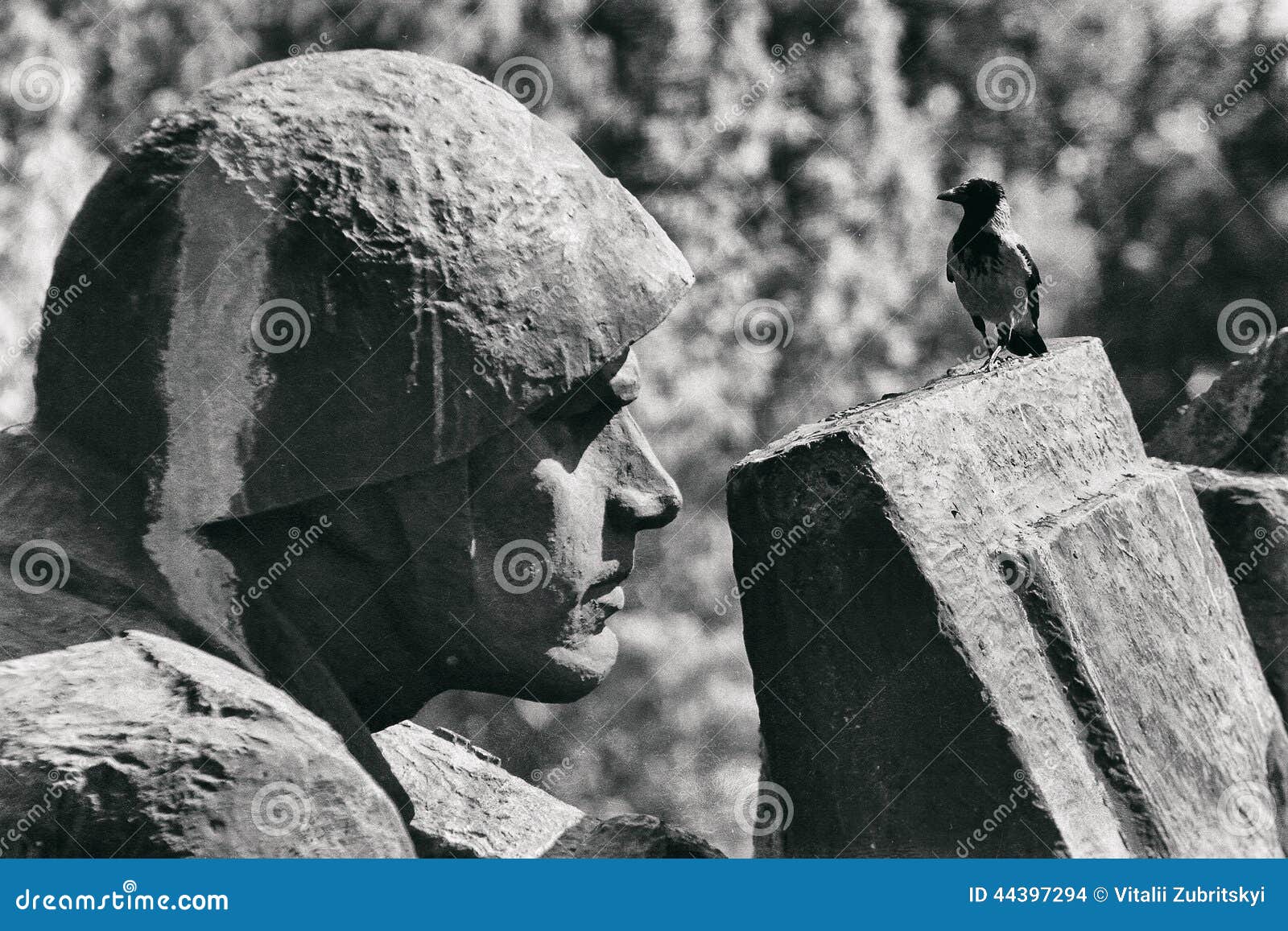 Crow at the monument stock photo. Image of monument, white - 44397294