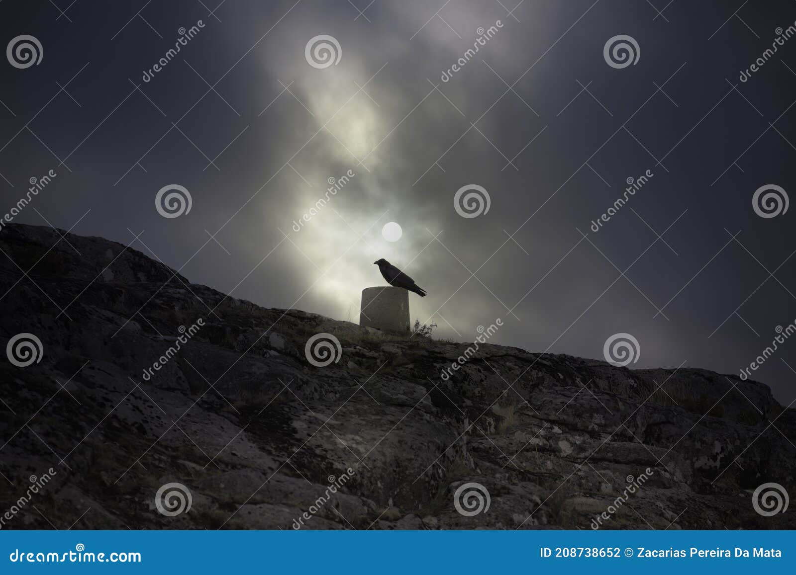 Full moon crow stock photo. Image of mystery, scenery - 208738652