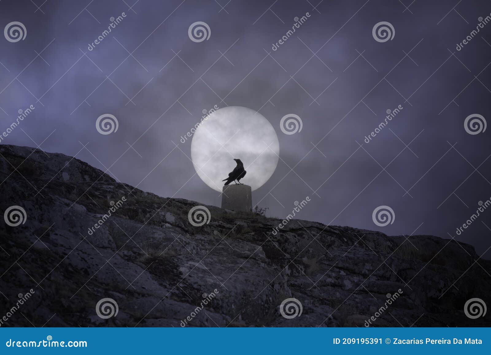 Full moon crow stock image. Image of halloween, nightmare - 209195391