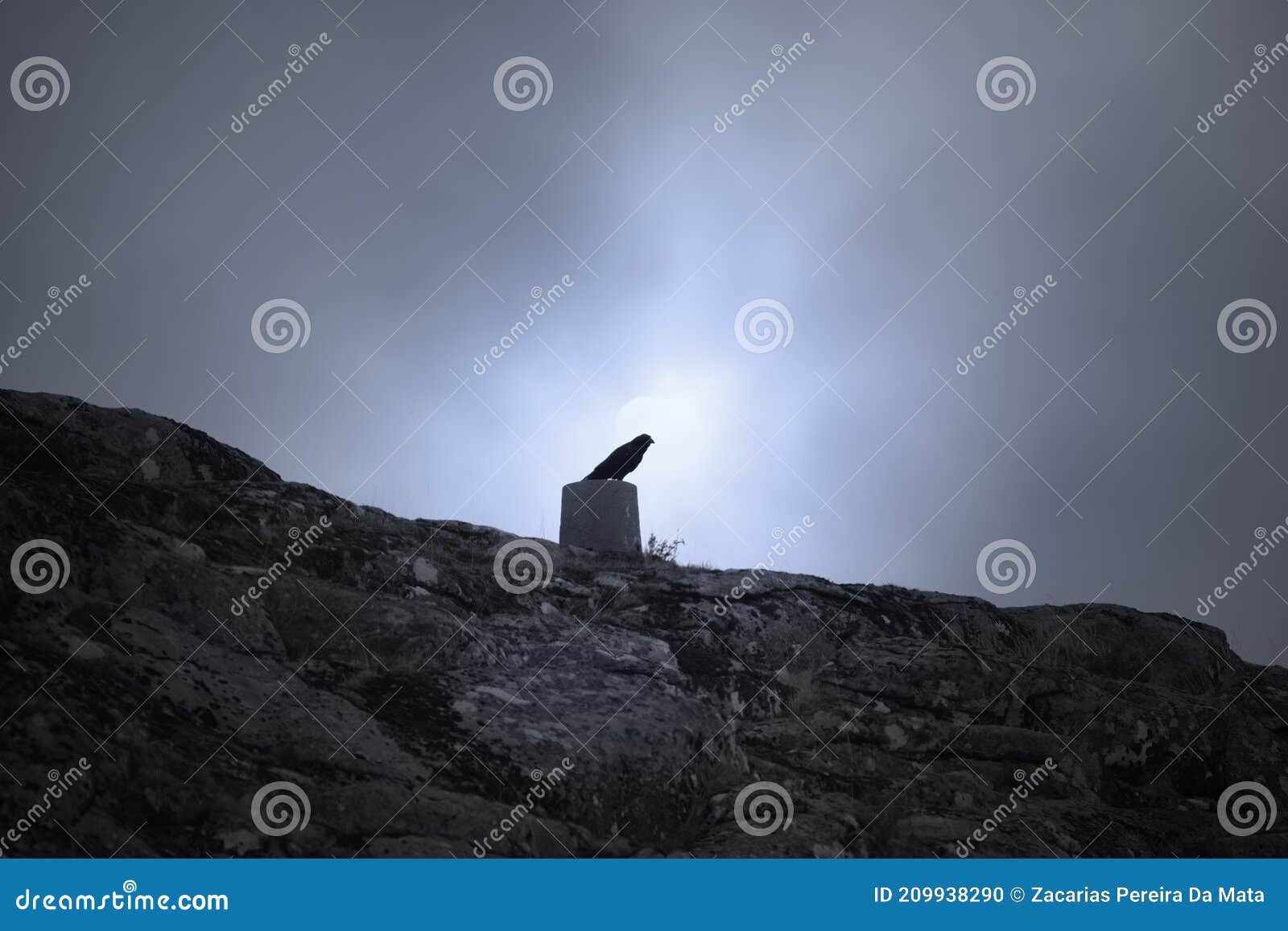 Full moon crow stock photo. Image of horror, eerie, evil - 209938290