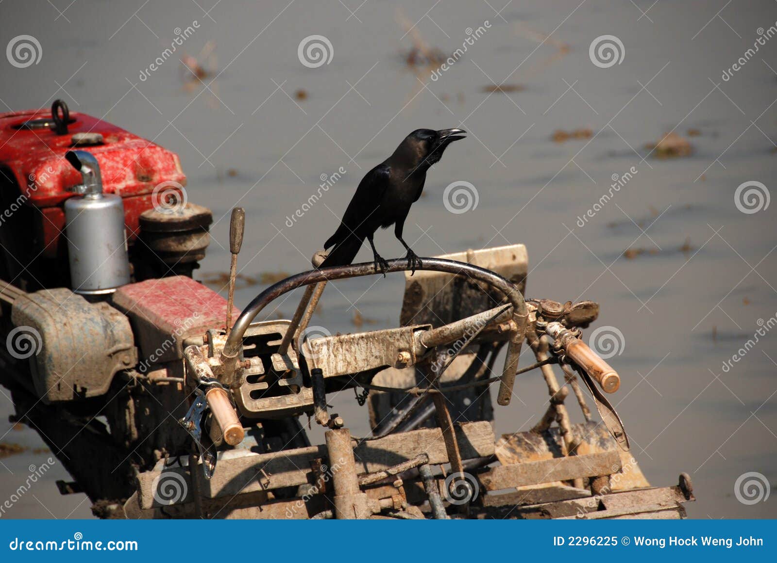 Crow And Ploughing Machine Picture. Image: 2296225