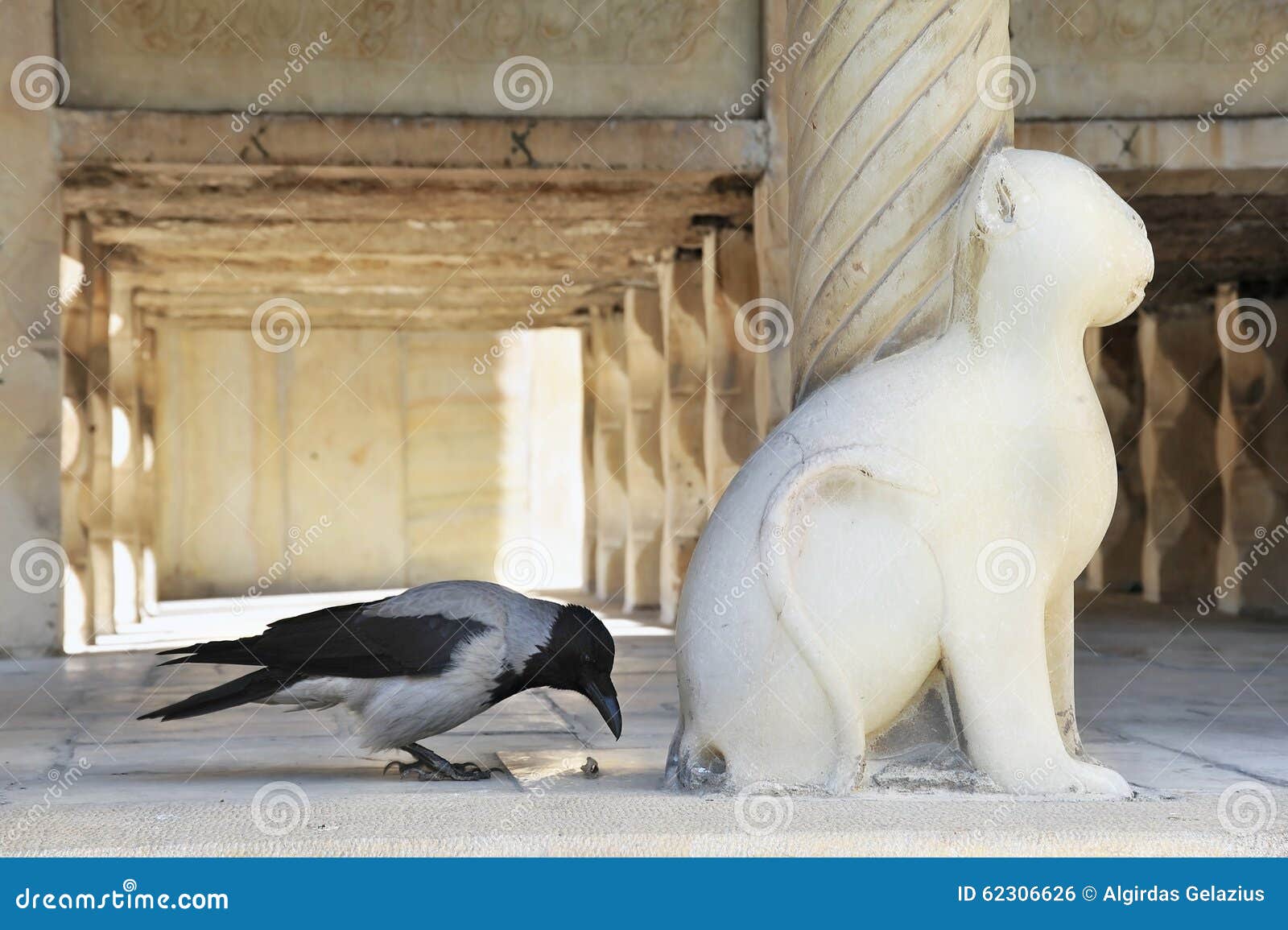 Crow and Predator Sculpture Stock Photo - Image of black, sightseeing ...