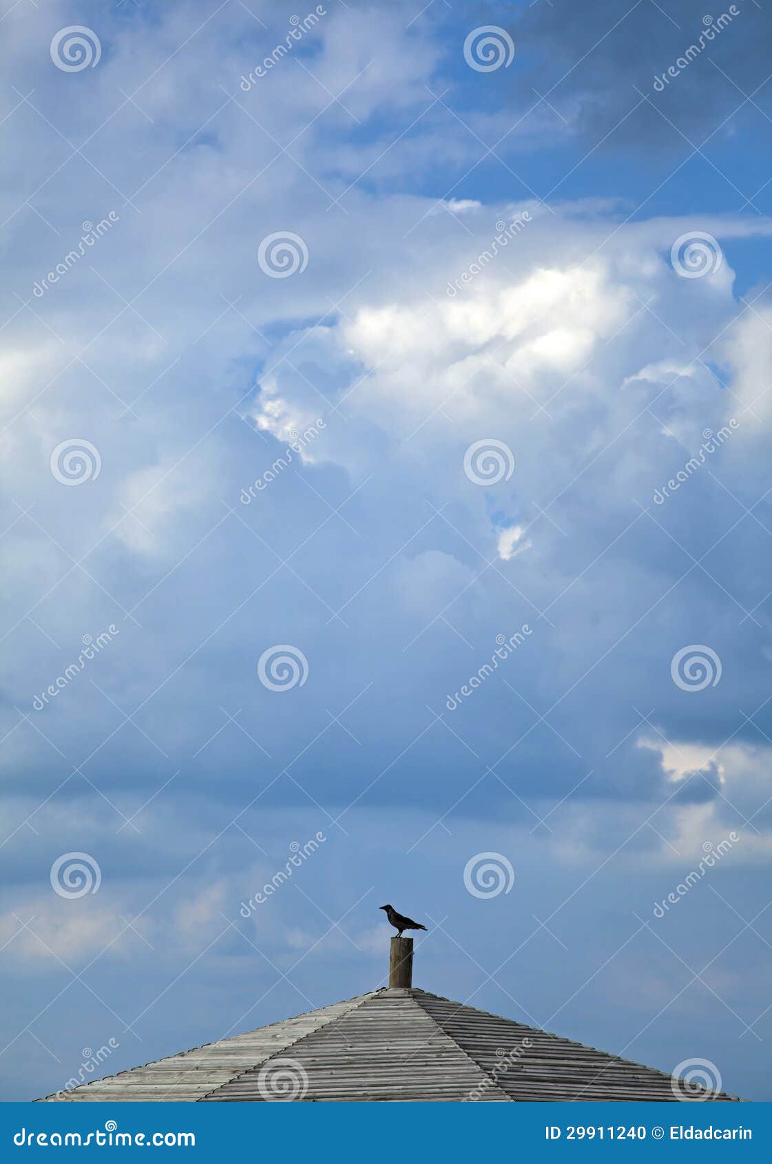 Crow on a Roof stock photo. Image of raincloud, bird - 29911240