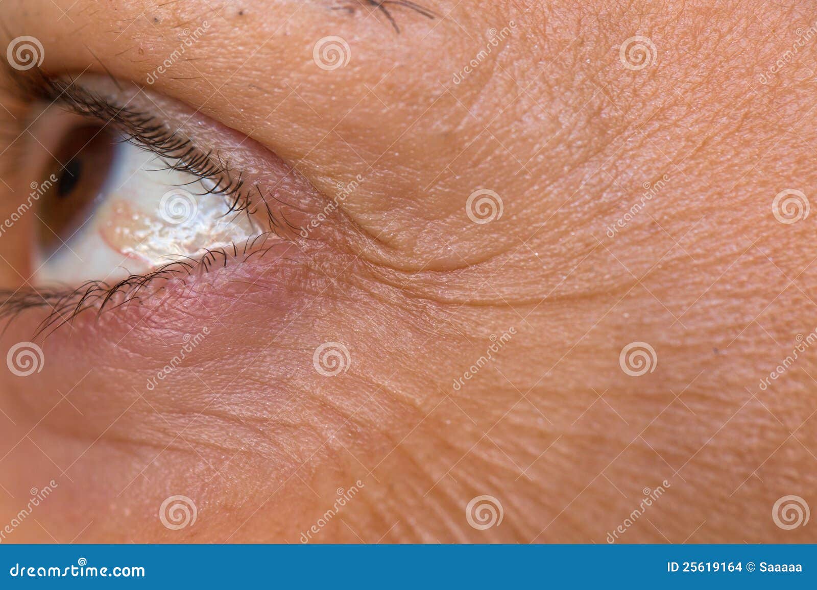Crow s feet stock photo. Image of feet, skin, side, mature - 25619164