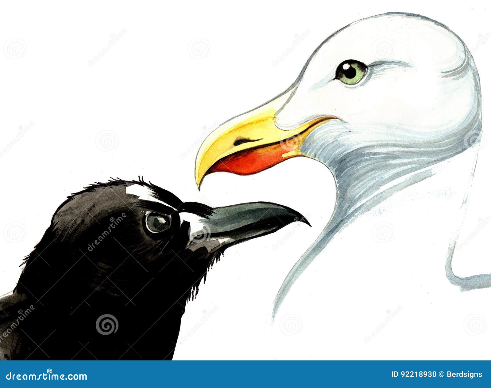 Crow and seagull stock illustration. Illustration of contrast - 92218930