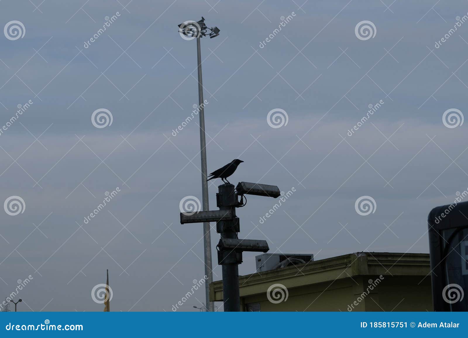 Crow on Security Camera Masts Stock Image - Image of weather, cross ...