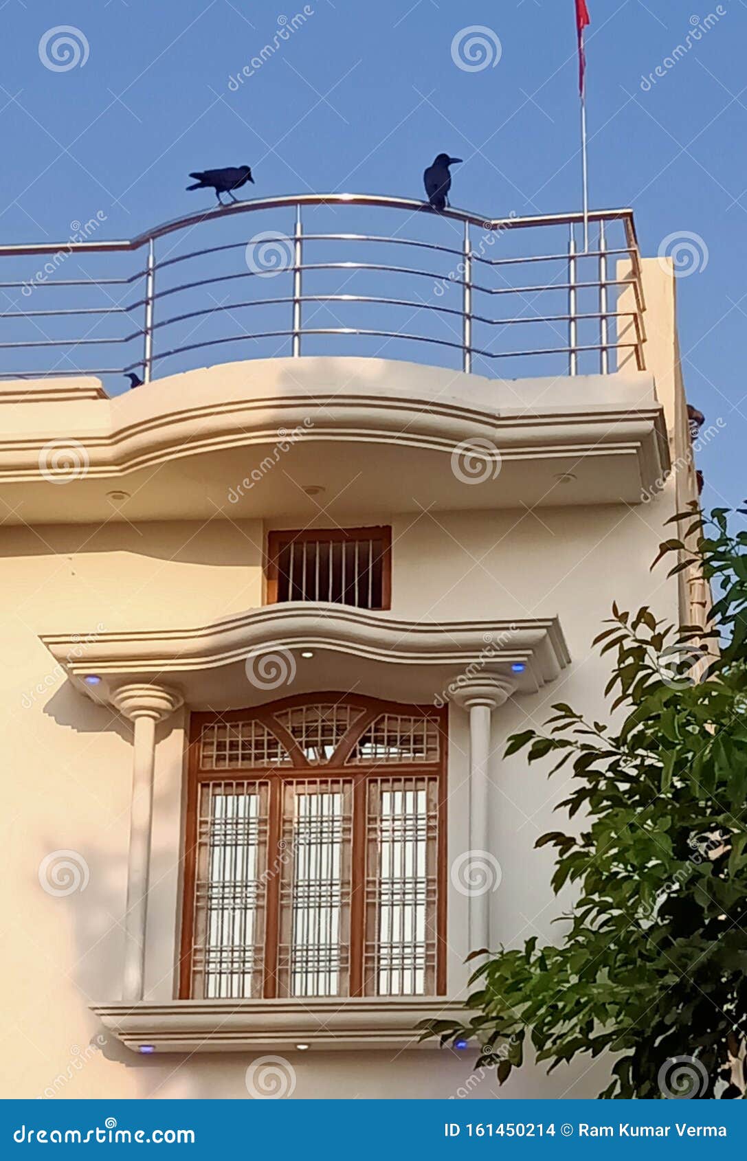 Crow Sitting in Beautiful Building Image Stock Photo - Image of crow ...