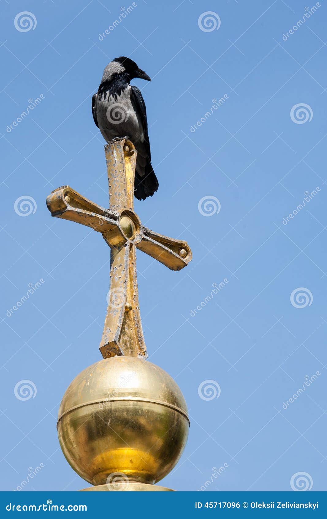 Crow sitting on cross stock photo. Image of religion - 45717096