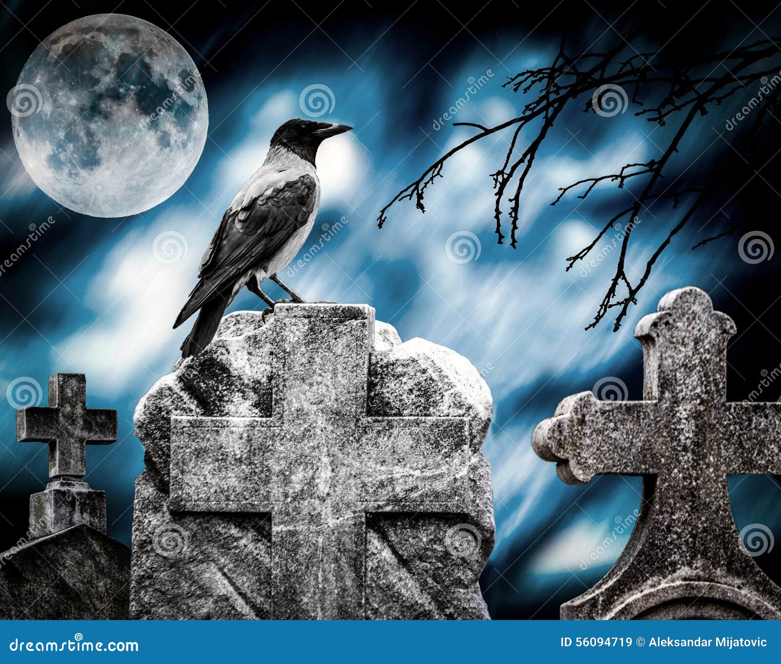 Crow Sitting on a Gravestone in Moonlight at Cemetery Stock Image ...