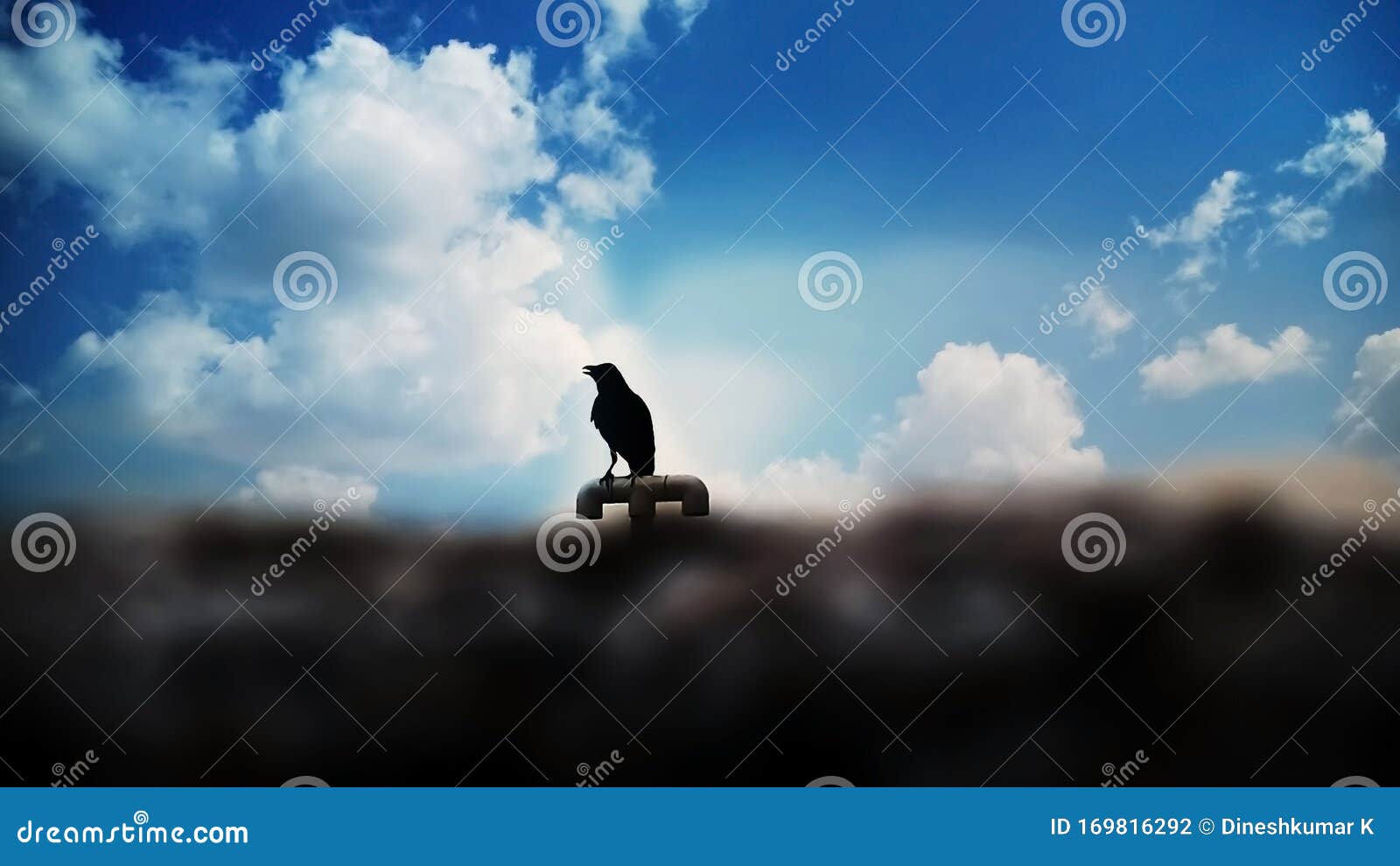 A Crow is Standing Alone with the Beautiful Blue Sky and Clouds Stock ...