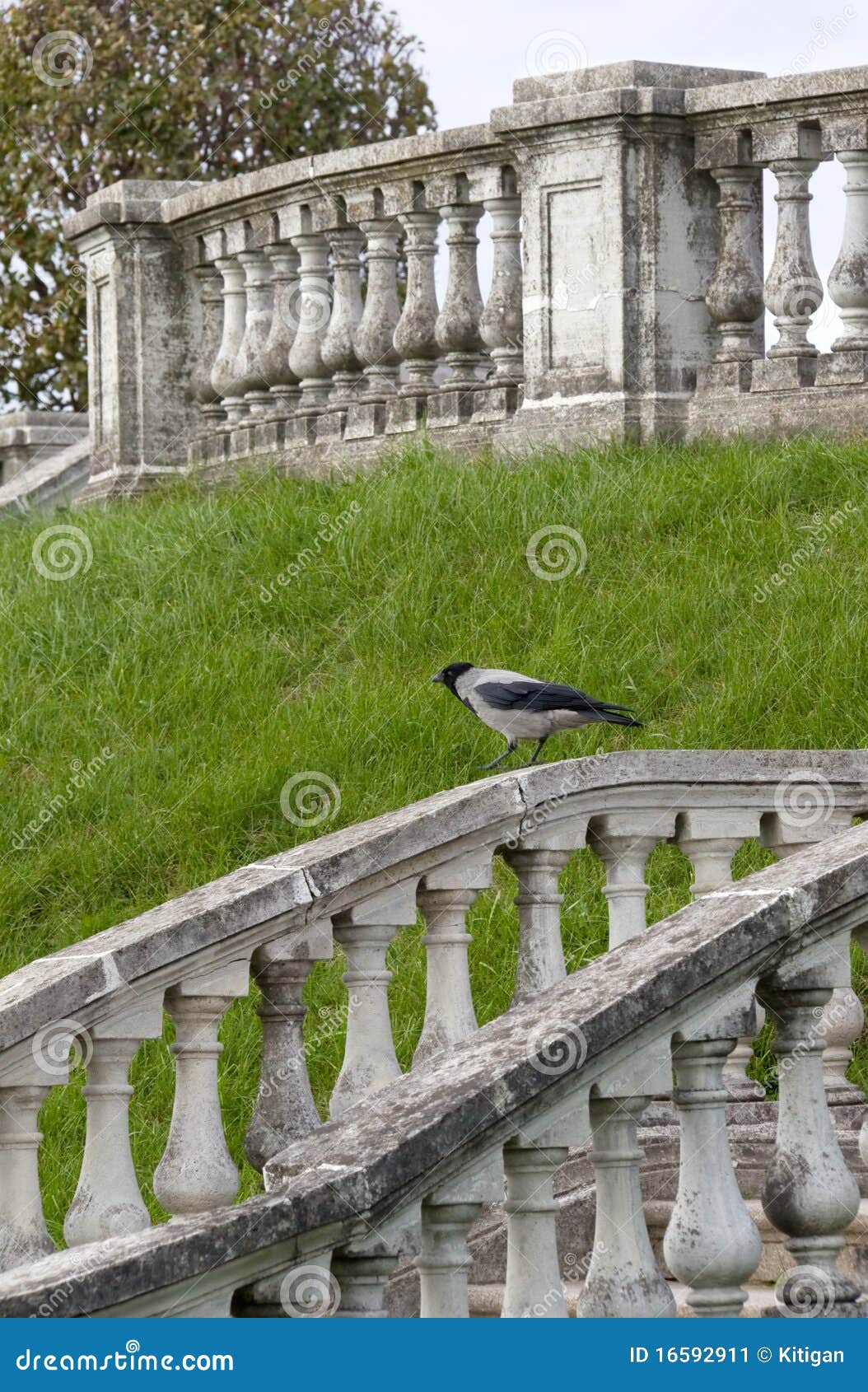 Stone Balustrade. Railing With Antique Pillars. Classic Architecture ...