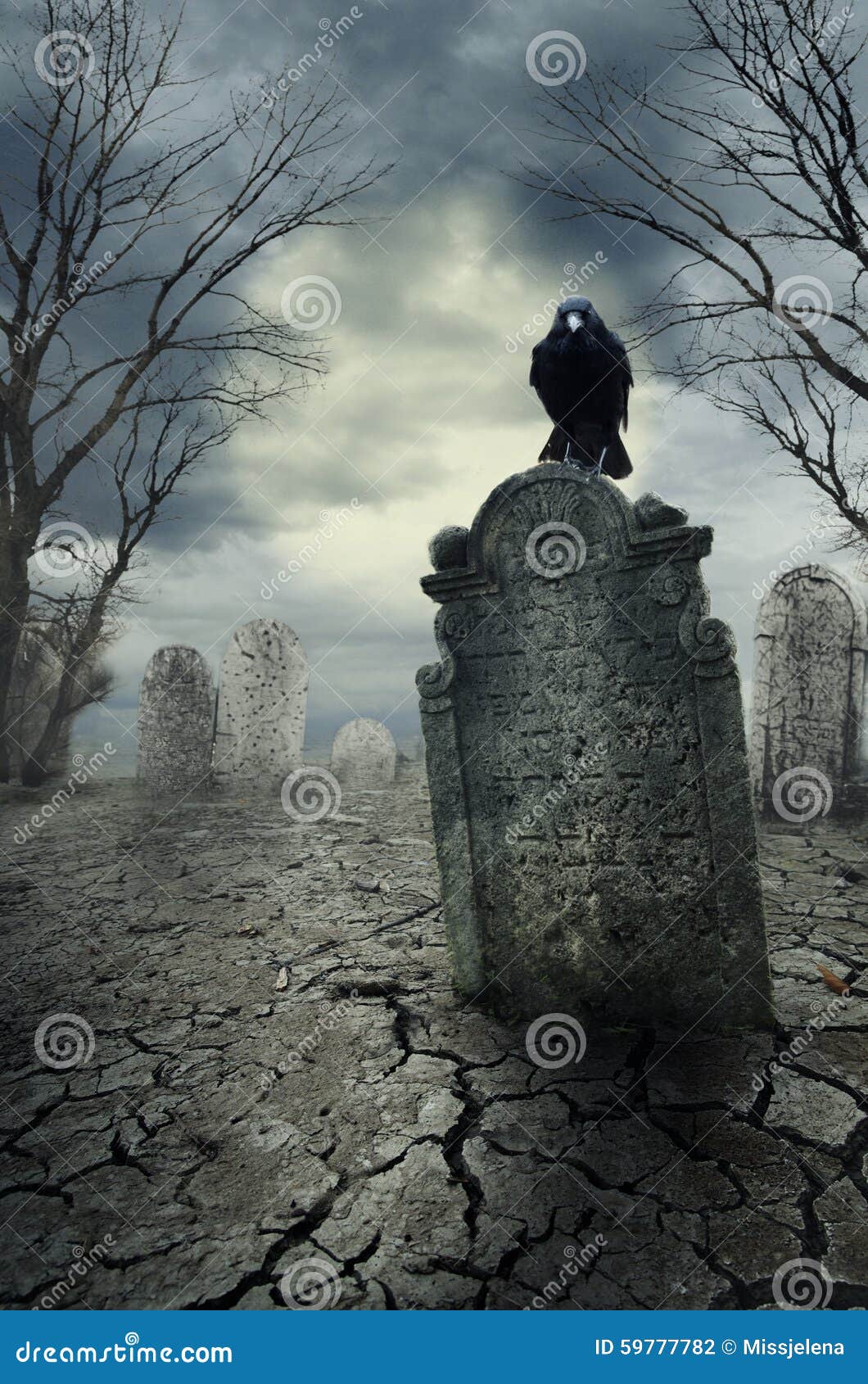 Crow on the tombstone stock photo. Image of burial, holiday - 59777782
