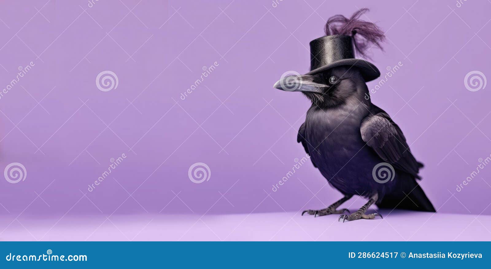 Crow in a Top Hat on a Purple Background. Place for Text. Stock ...