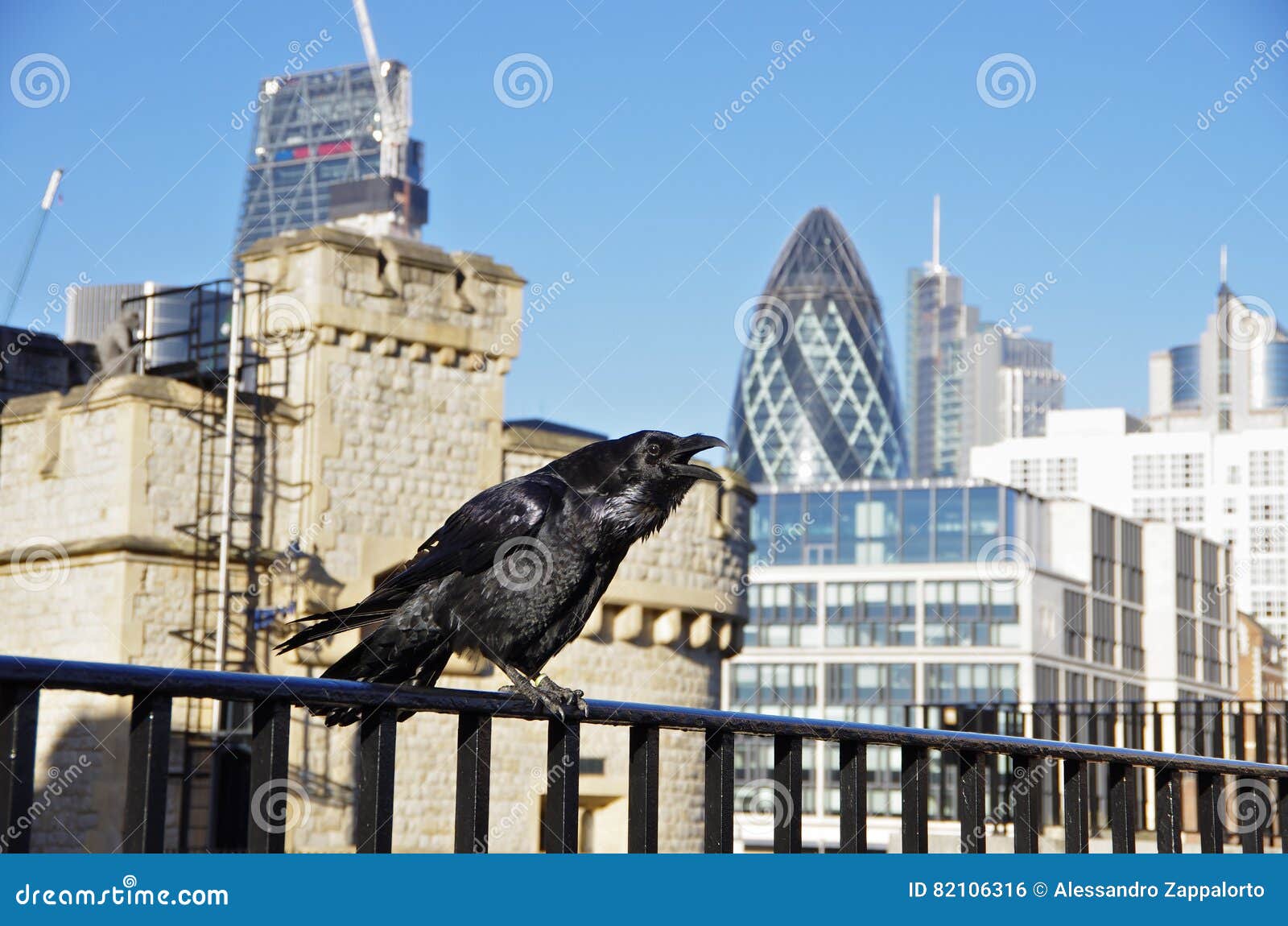 A Crow in the Tower of London Fortress Stock Photo - Image of walls ...