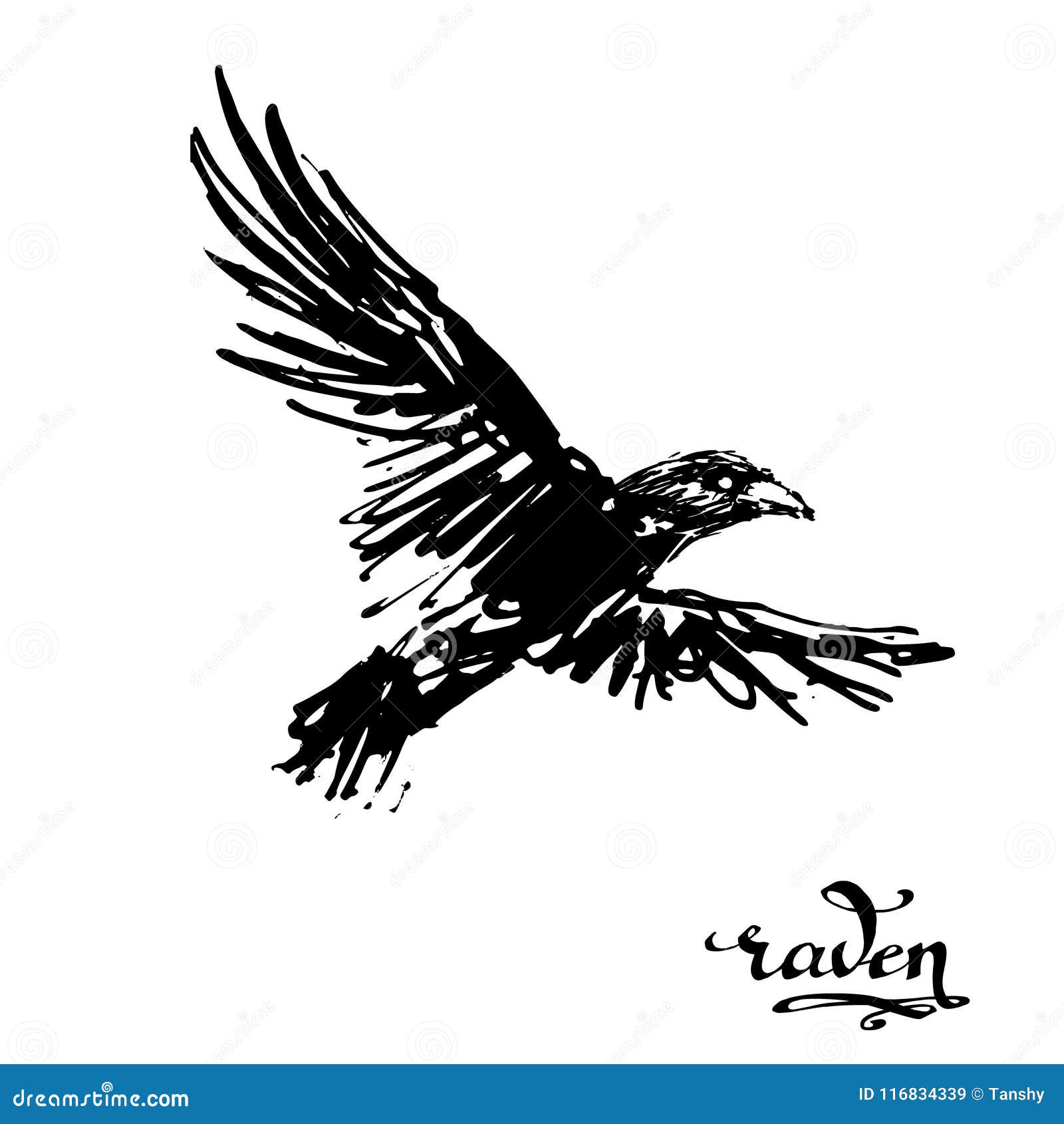 Crow Vector Illustration Set Stock Vector - Illustration of graphic ...