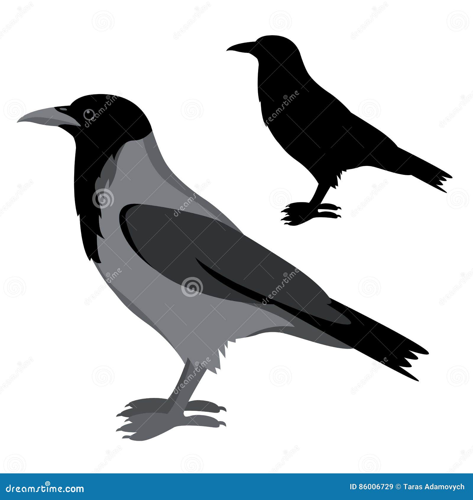 Crow Vector Illustration Style Flat Set Stock Vector - Illustration of ...