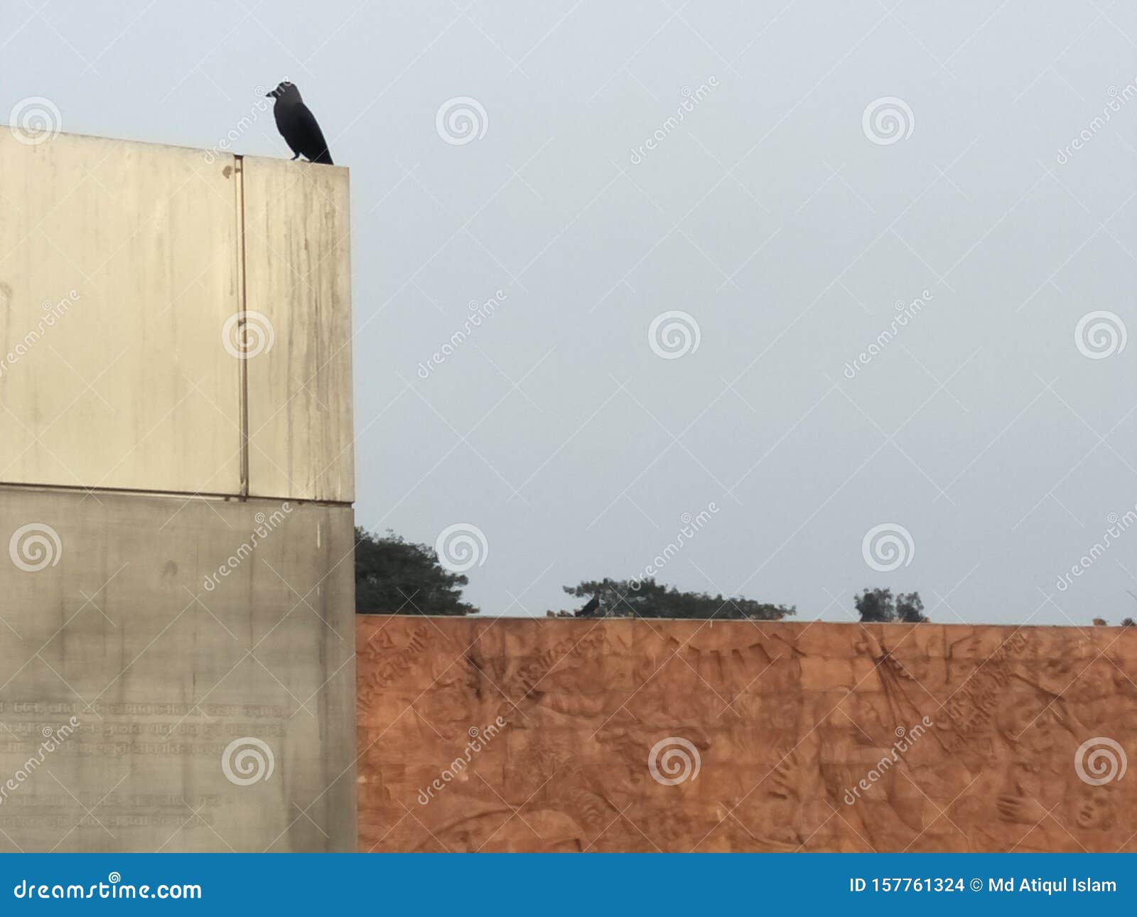 Crow on the wall stock photo. Image of wall, dhaka, crow - 157761324