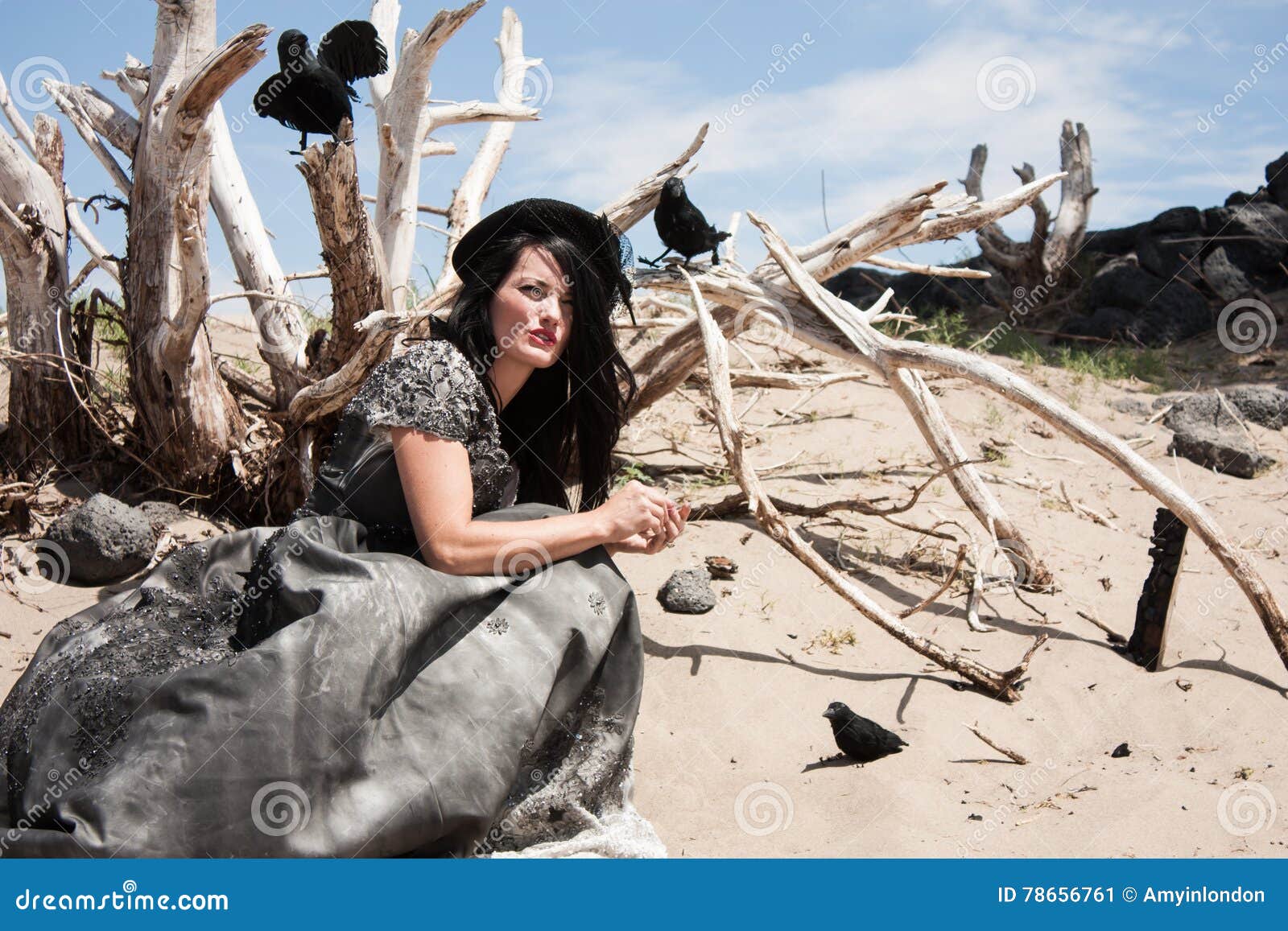 Crow woman in desert stock image. Image of female, femininity - 78656761