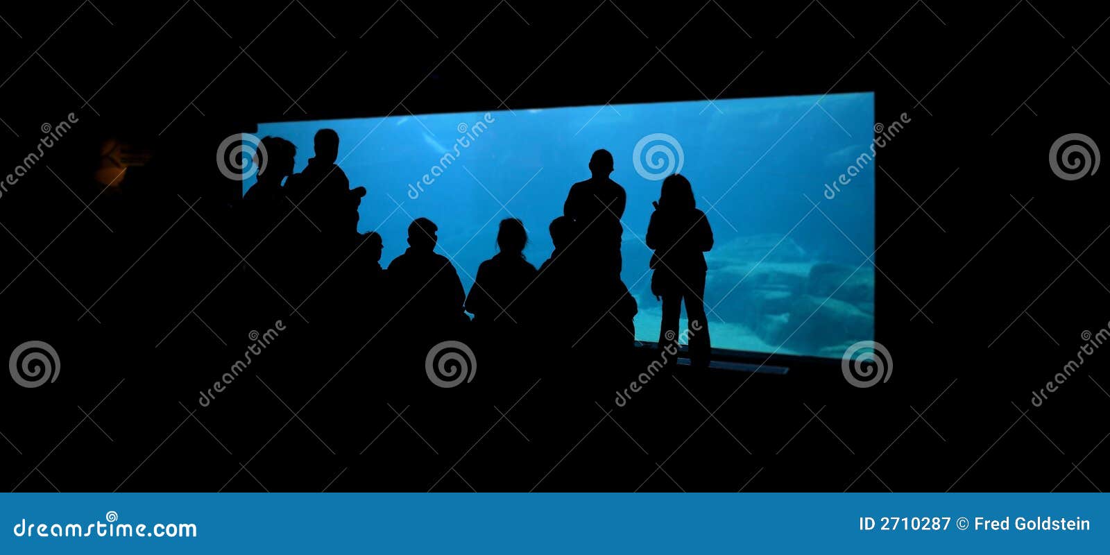 Crowd at aquarium stock image. Image of marine, watching - 2710287