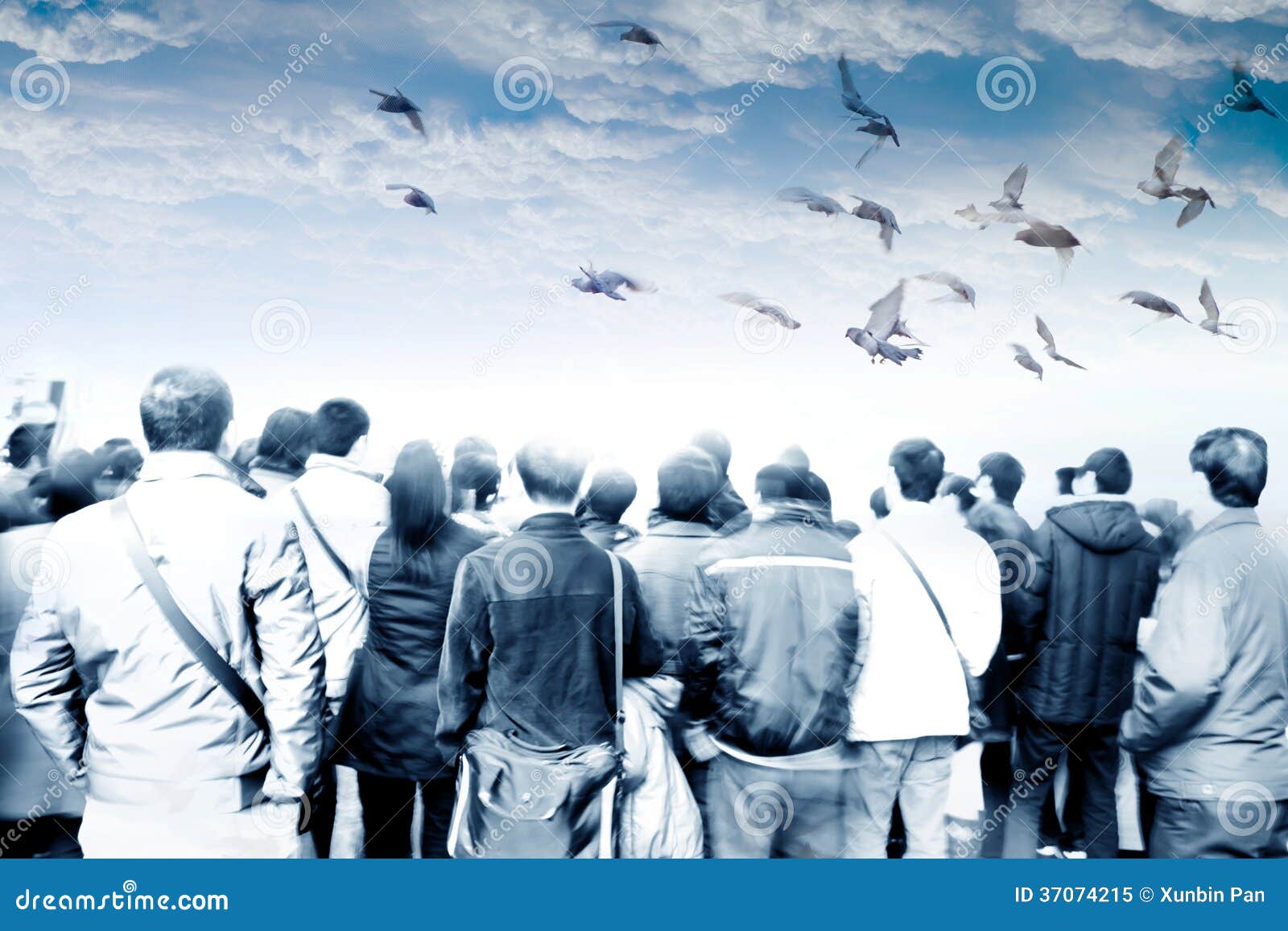 Crowd Audience Back View Freedom Stock Image - Image of bird ...