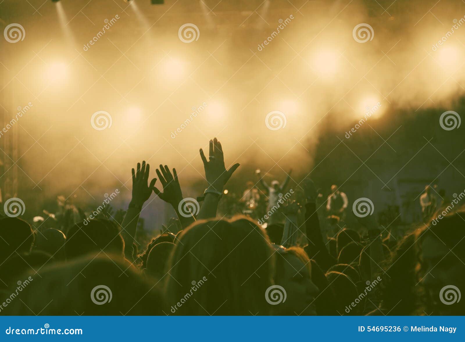 Crowd at concert stock photo. Image of punk, excited - 54695236