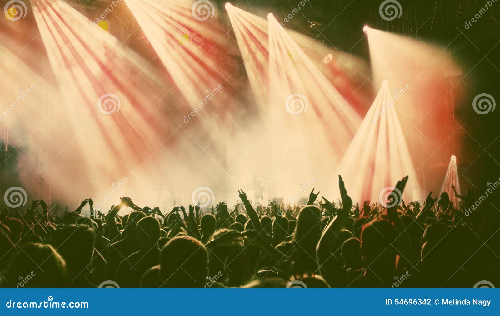 Crowd at concert stock photo. Image of musical, multitude - 54696342