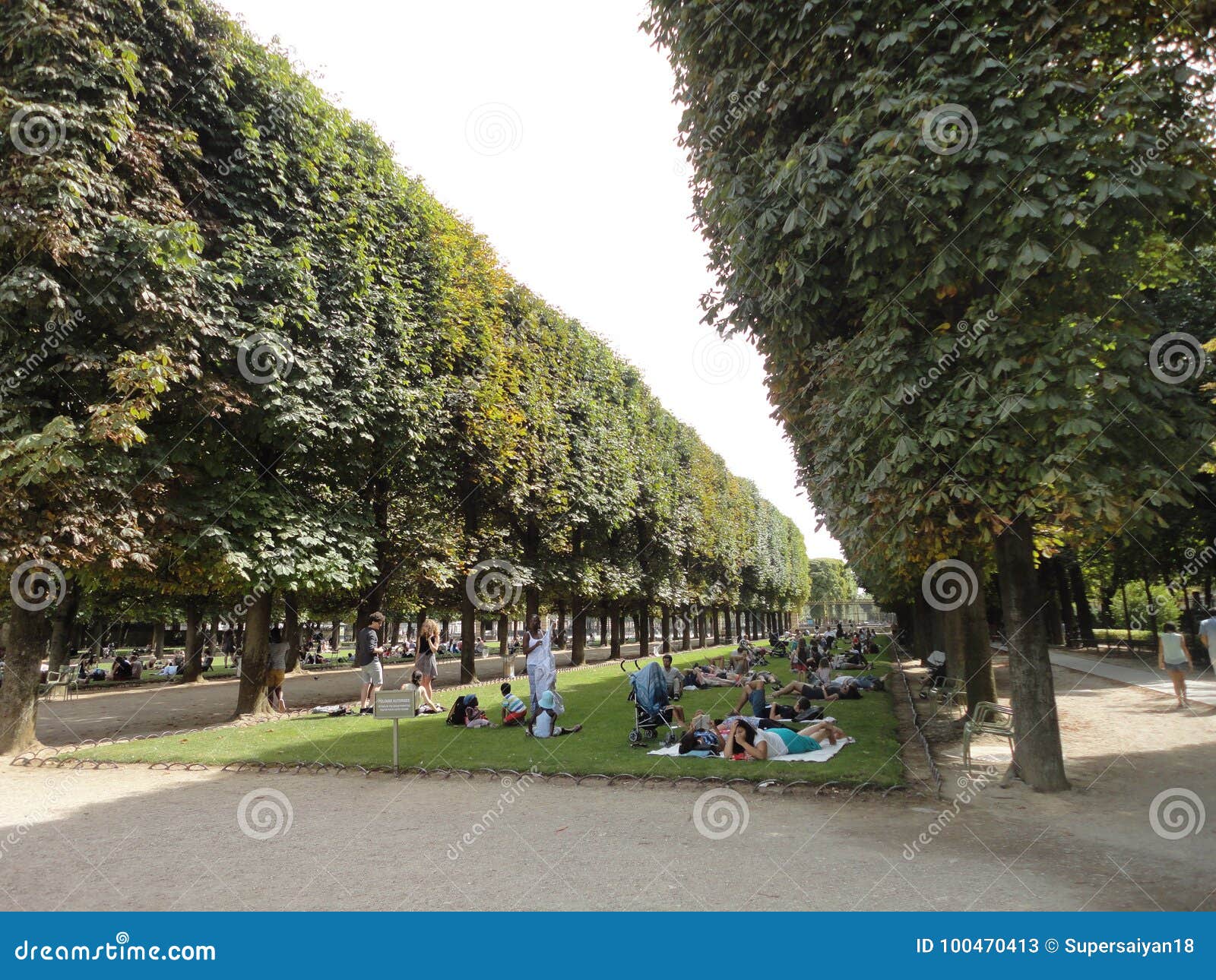 Crowd of People with Trees and Bush Editorial Stock Photo - Image of ...