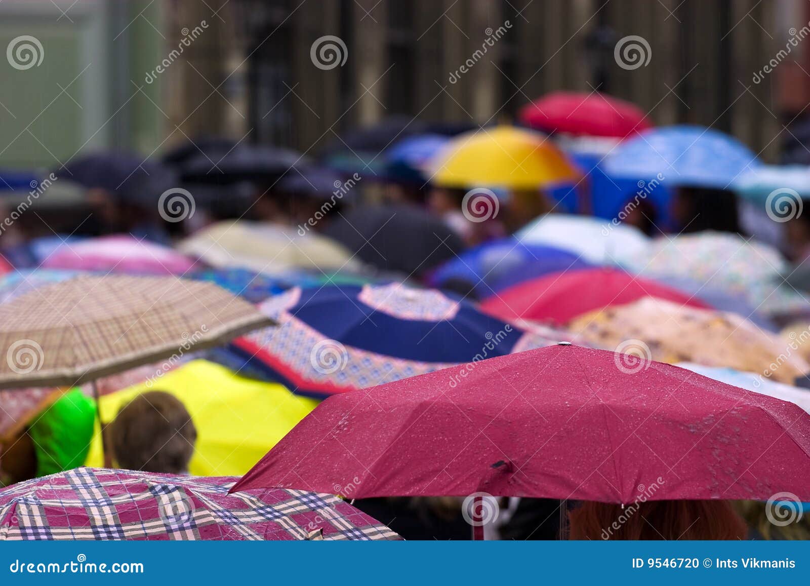 Crowd of People with Umbrellas Stock Photo - Image of throng, large ...