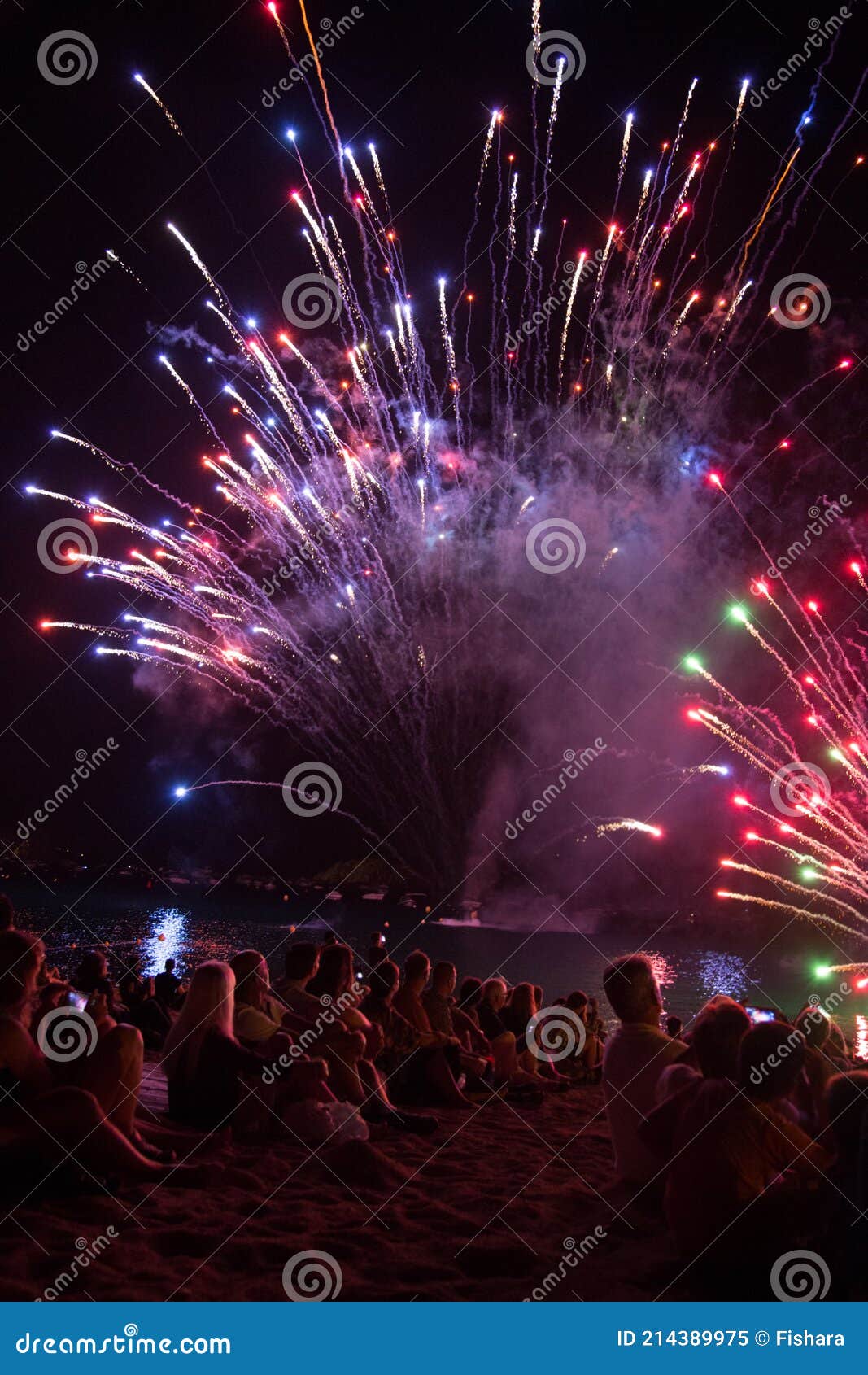 A Crowd of People Watching Fireworks Over the Sea Stock Image - Image ...