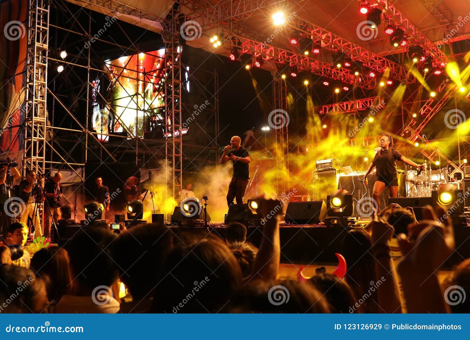 Crowd, Stage, Entertainment, Rock Concert Picture. Image: 123126929