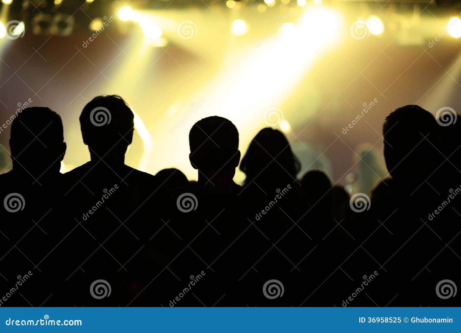 Crowd watching concert stock image. Image of silos, happy - 36958525