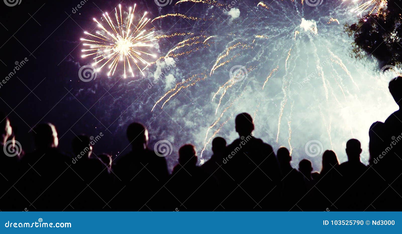 Crowd watching fireworks stock photo. Image of firework - 103525790